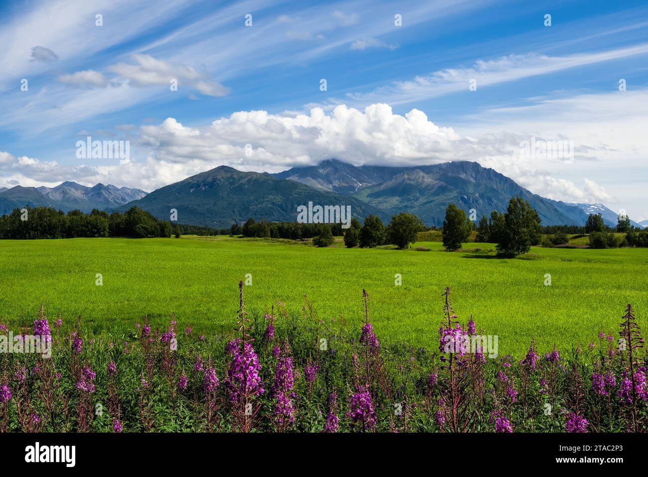 Landscape farmland meadow field hi-res stock photography and images - Alamy