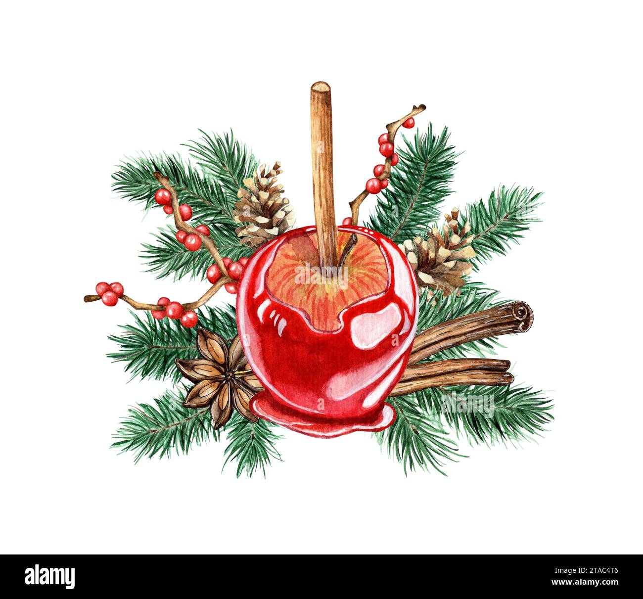 Watercolor illustration of a Christmas apple in caramel, fir branches ...