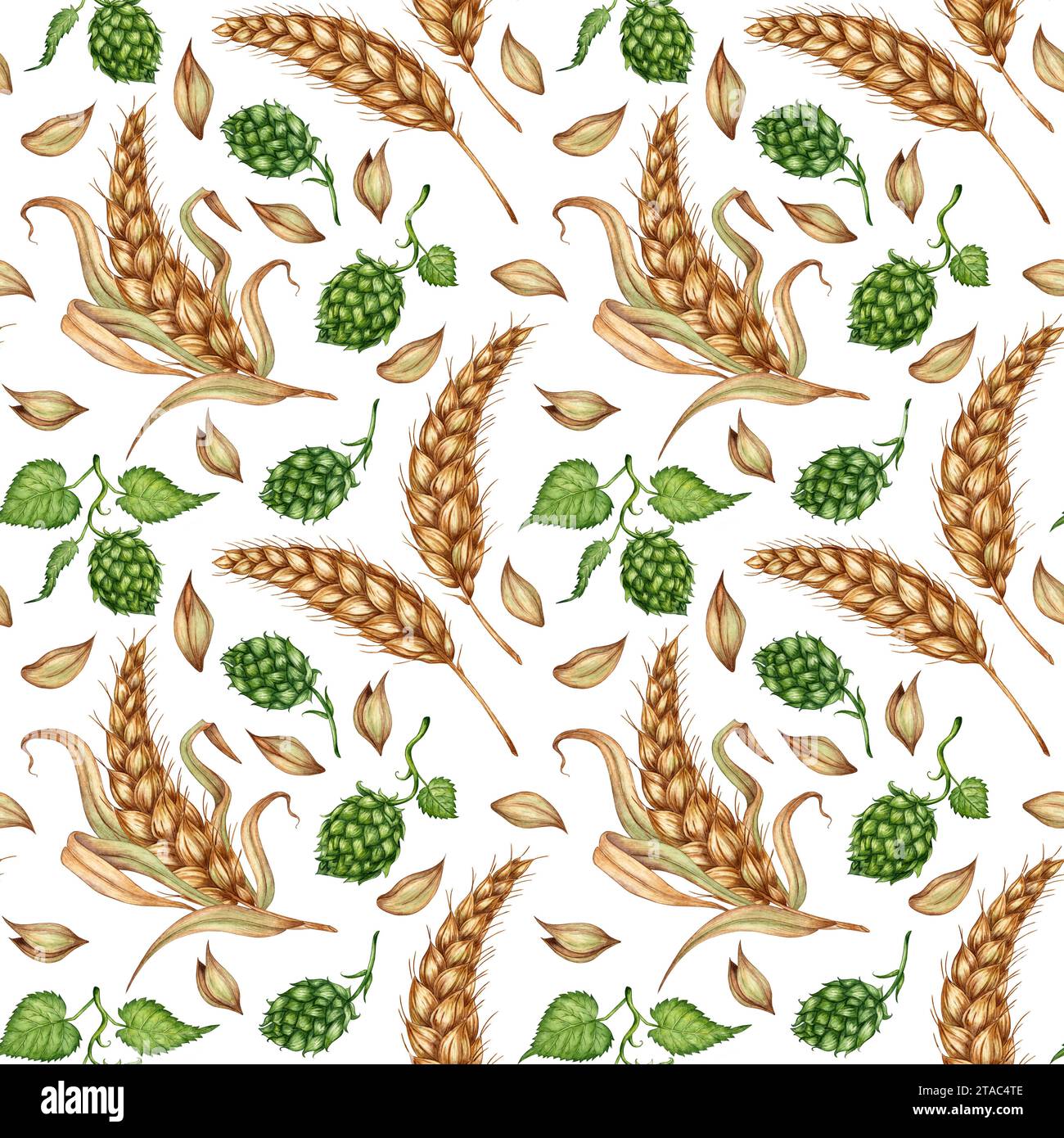 Watercolor illustration of a pattern of ripe ears of wheat, dried ...