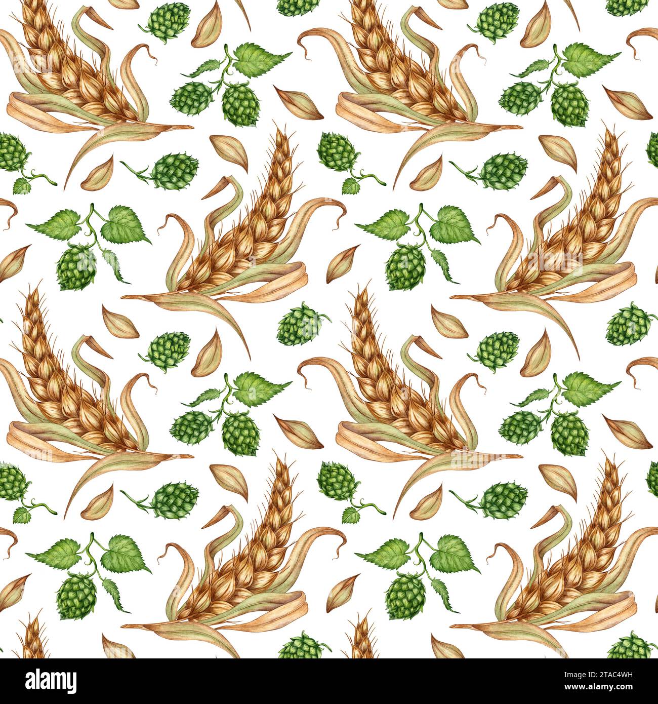 Watercolor illustration of a pattern of ripe ears of wheat, dried ...