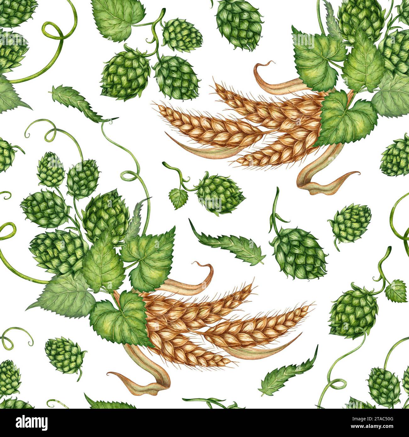 Watercolor illustration of a pattern of bunches of ripe wheat cobs ...