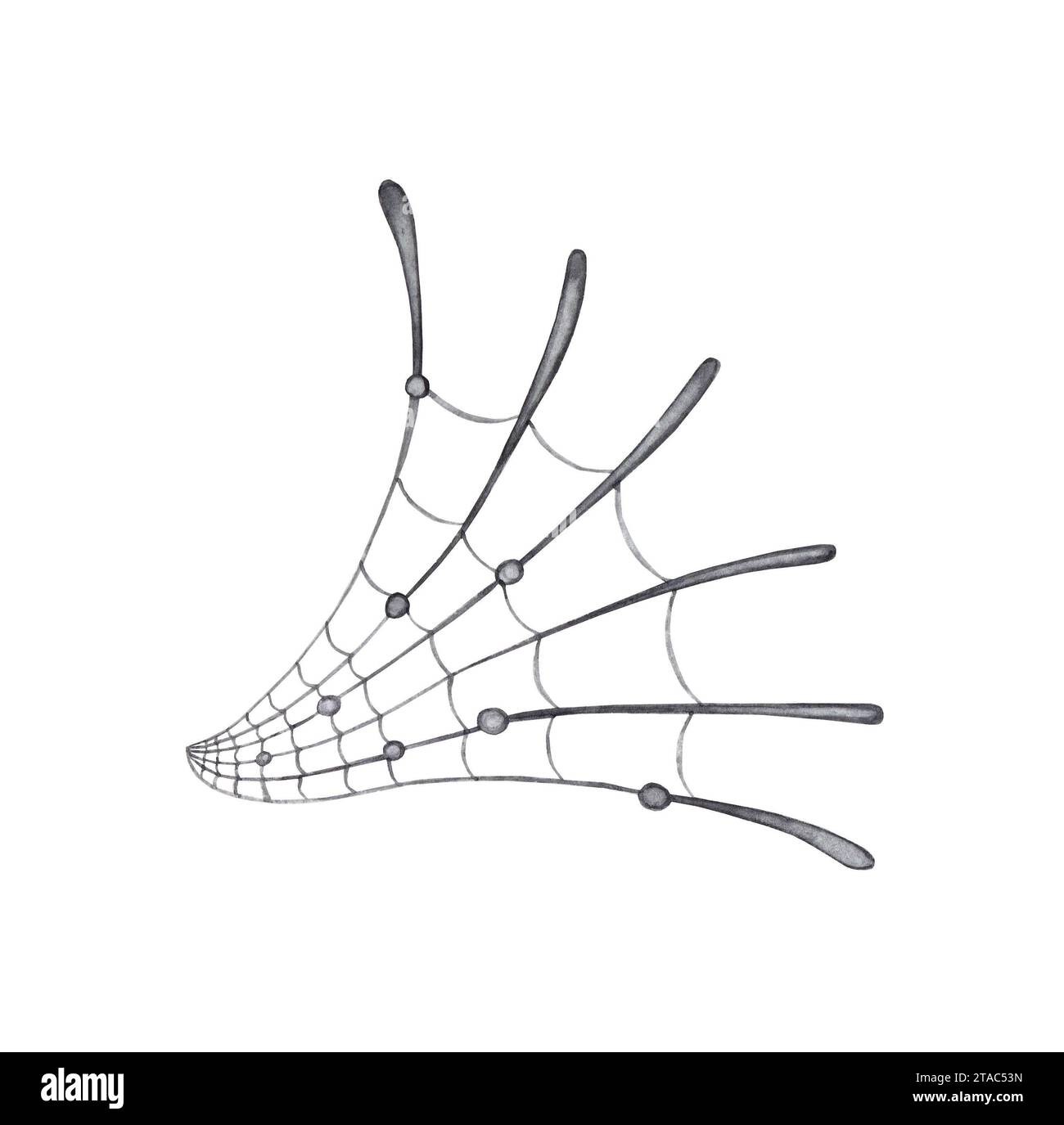 Watercolor illustration of black spider web for Halloween party ...