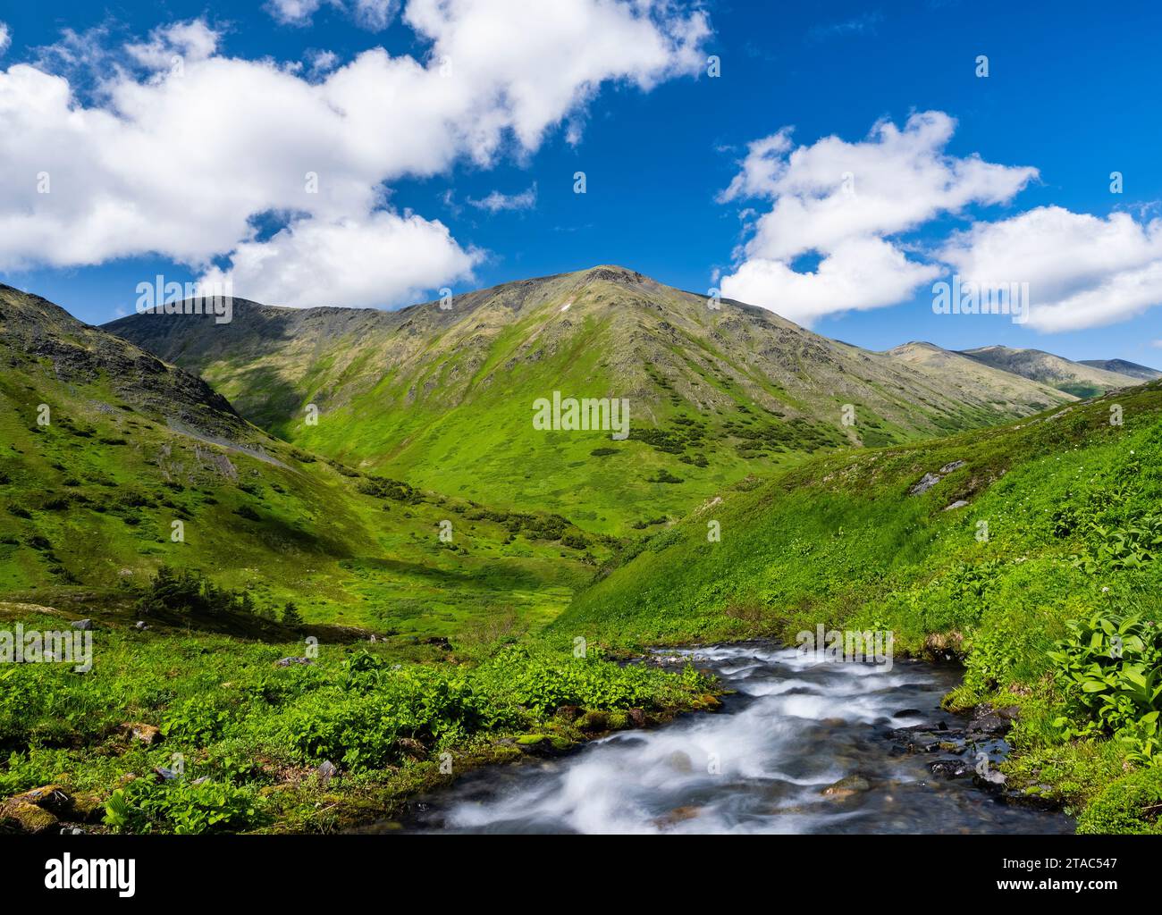 Nature landscape stream valley hi-res stock photography and images - Alamy