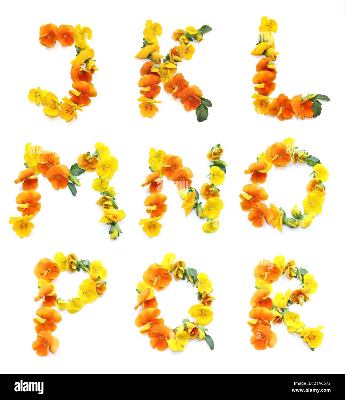 set of etters J K L M N O P made of yellow, orange flowers. The floral ...