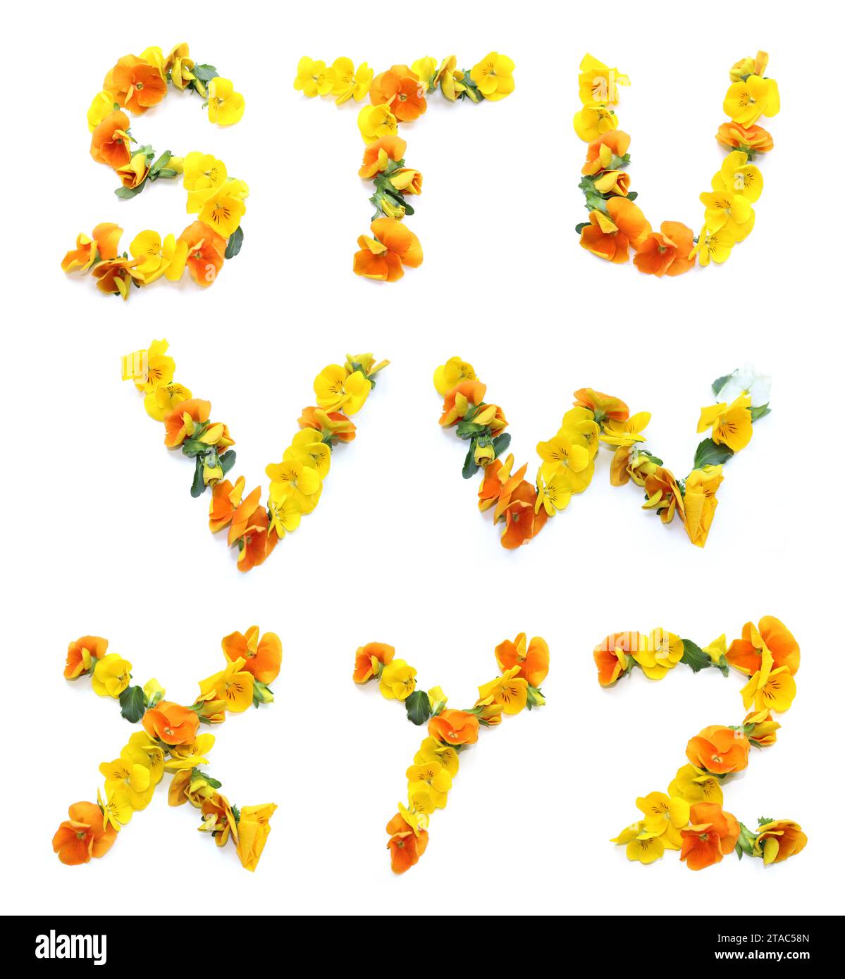 set of letters S T U V W X Y made of yellow, orange flowers. The floral ...