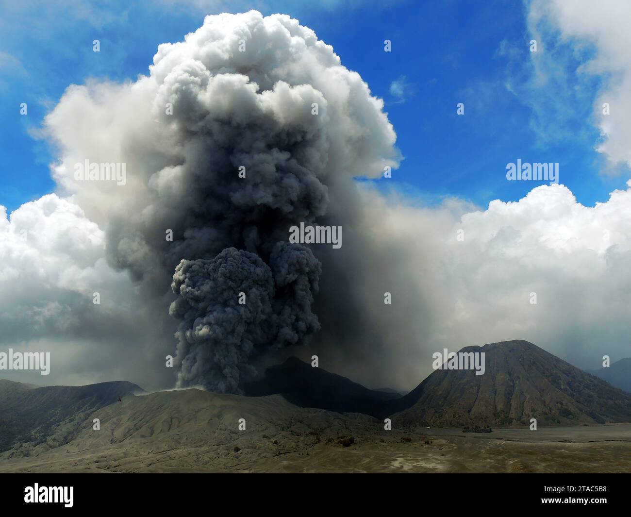 Mt. Bromo volcano actively erupts in east java, Indonesia Stock Photo ...