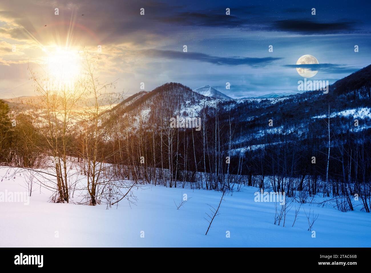 mountainous landscape on a winter solstice day. leafless birch trees on ...