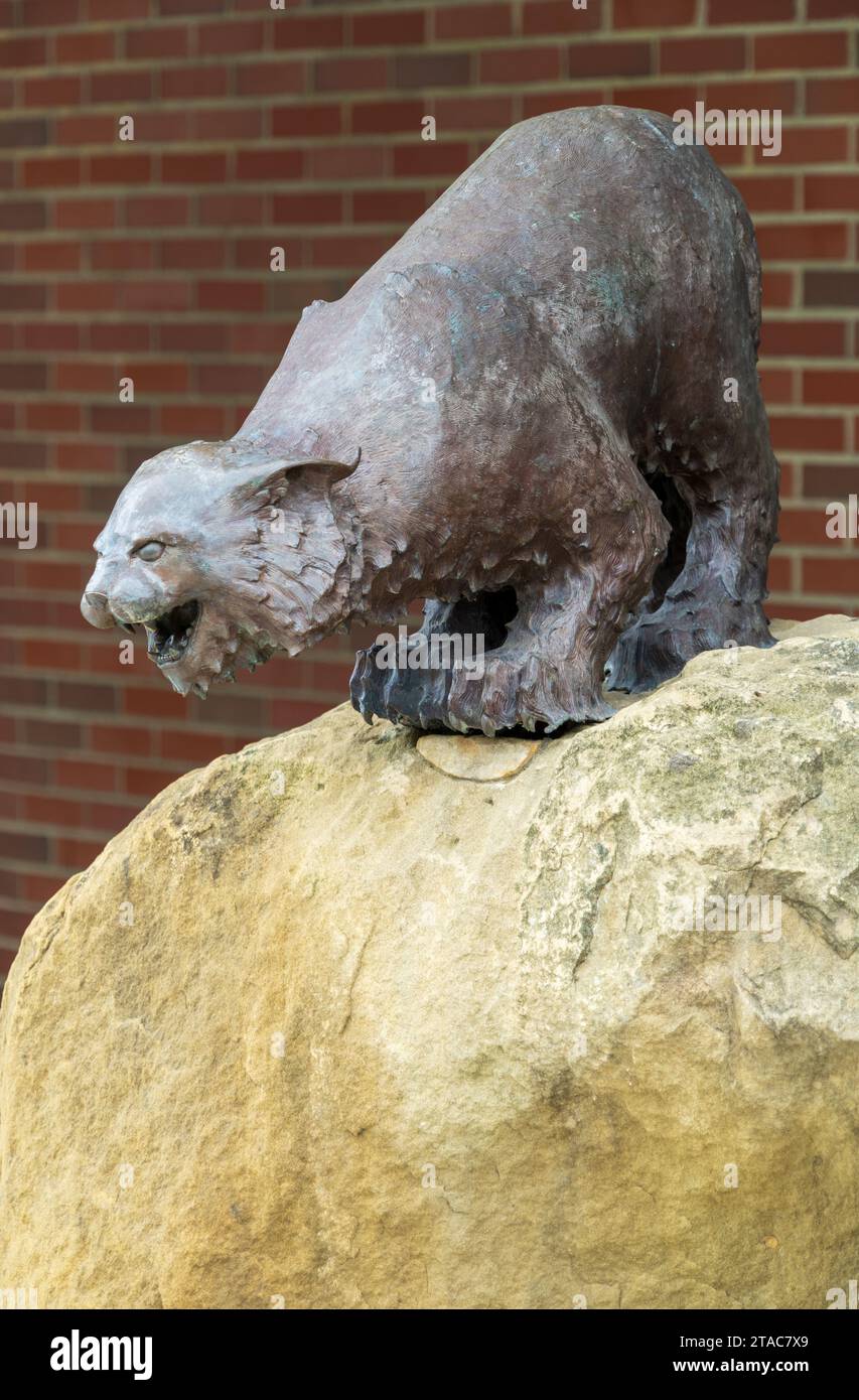 The Ohio University, Public university in Athens, Ohio Stock Photo - Alamy