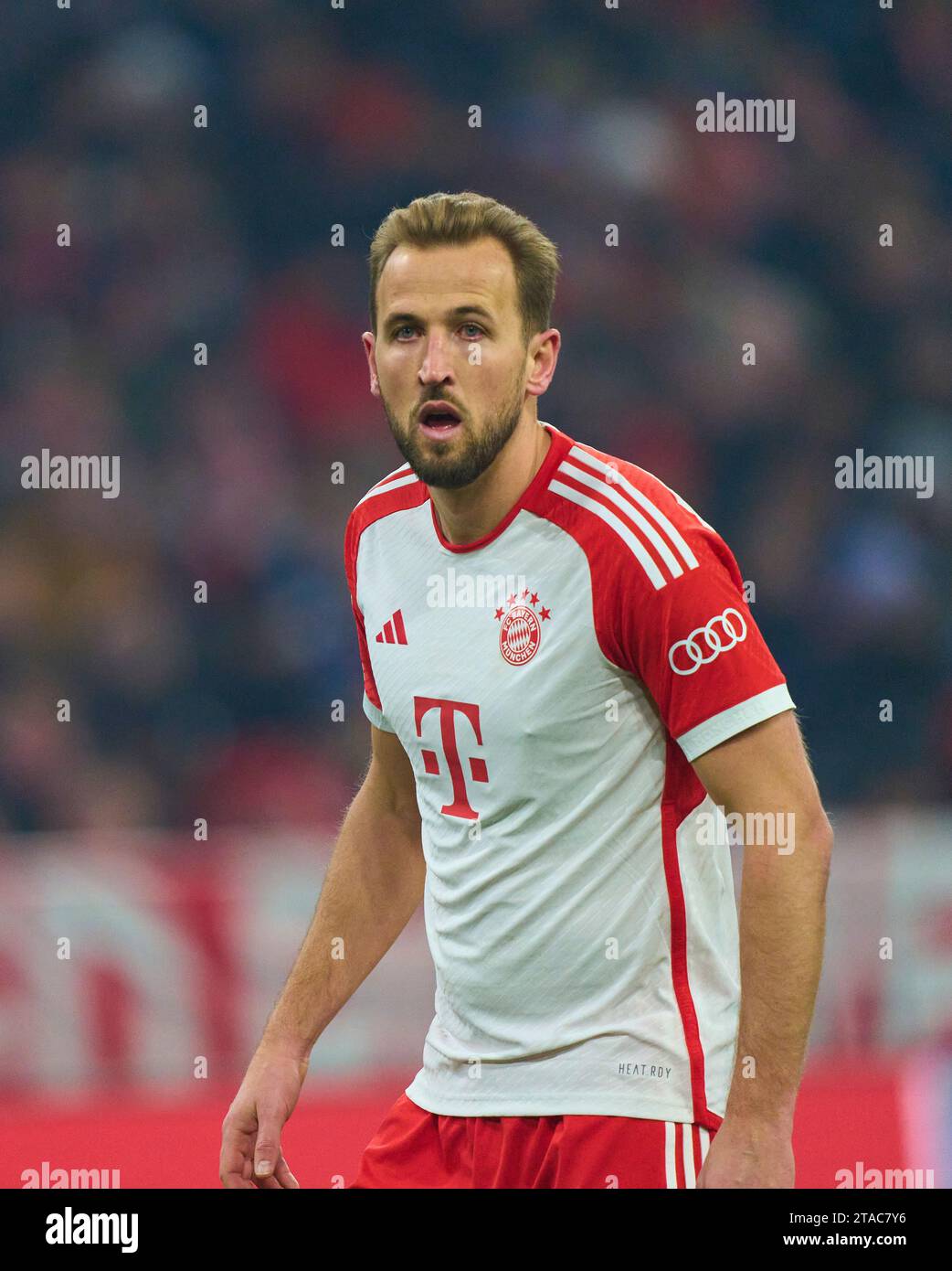 Harry Kane, FCB 9 in the group stage match FC BAYERN MUENCHEN - FC ...