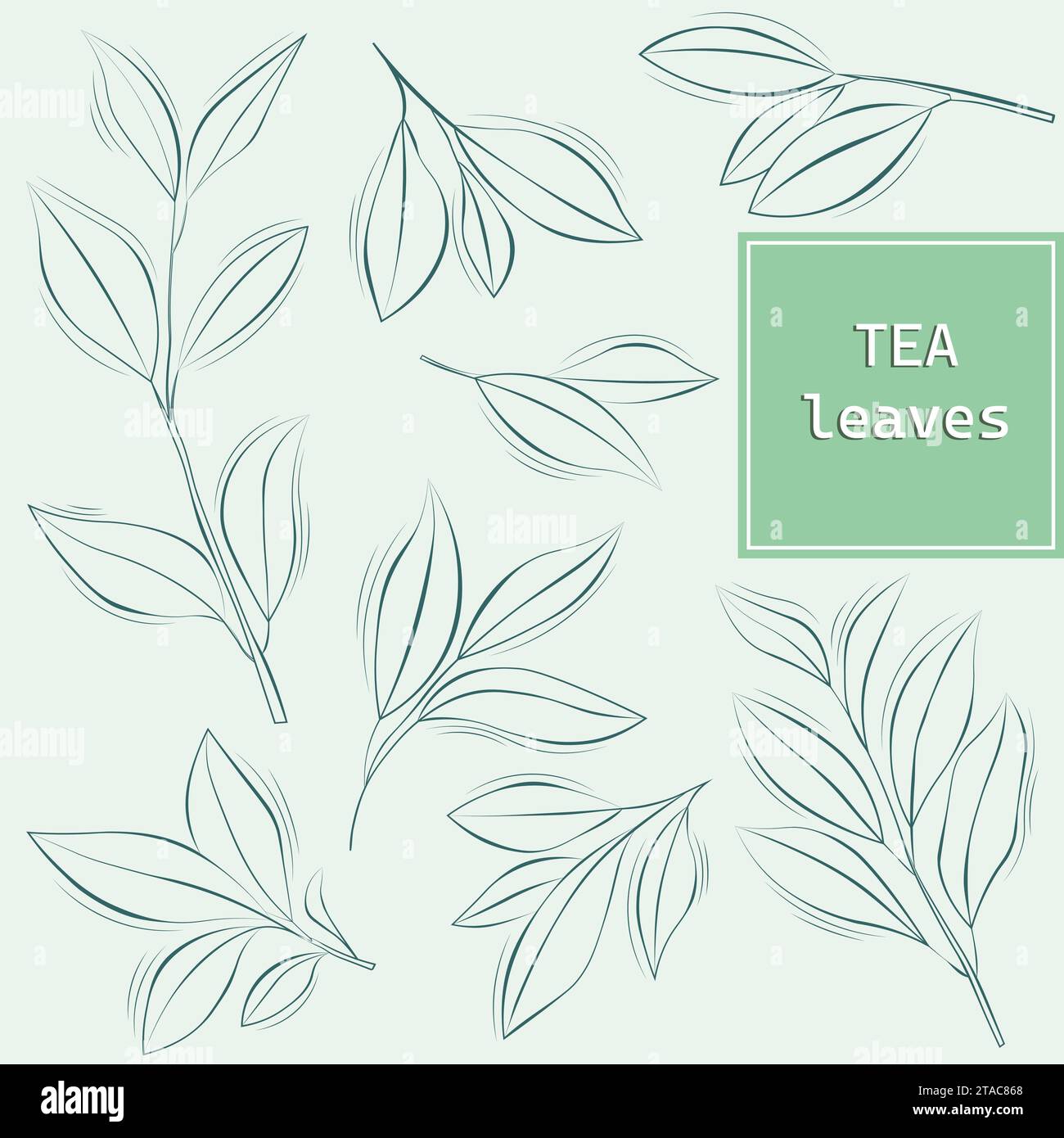Hand drawn isolated tea leaves background Stock Vector Image & Art - Alamy