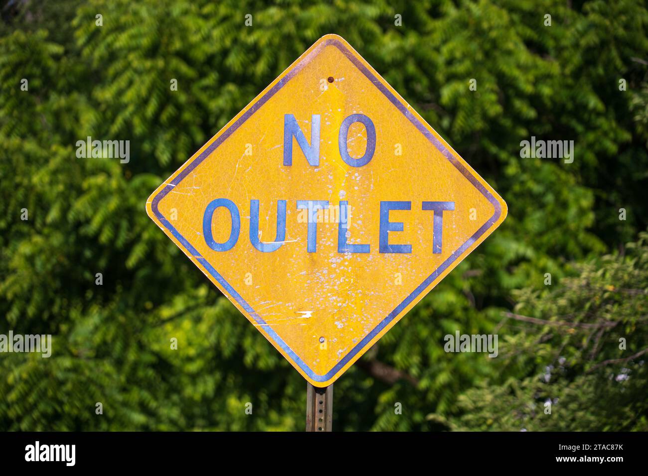 Greenery device hi-res stock photography and images - Alamy