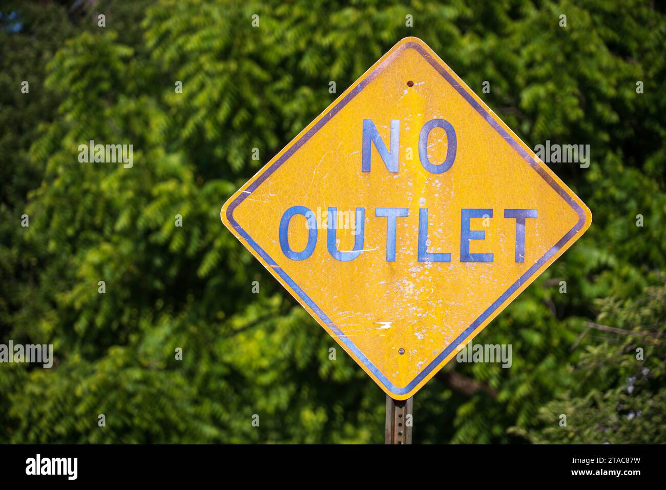 A No Outlet Road Sign In Front of Greenery Stock Photo - Alamy