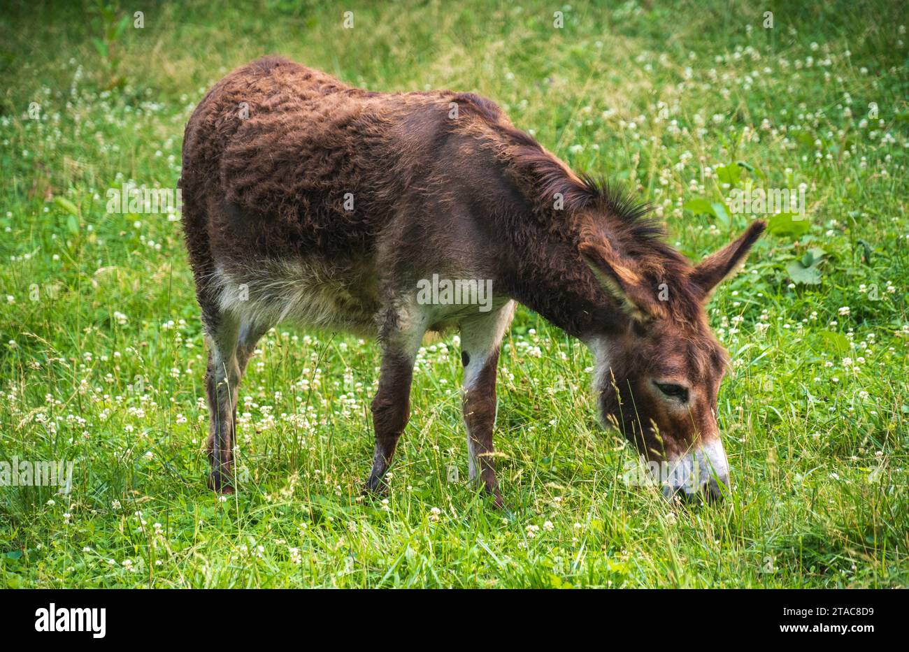 The Hockhocking Adena Bikeway in Athens Ohio Stock Photo - Alamy