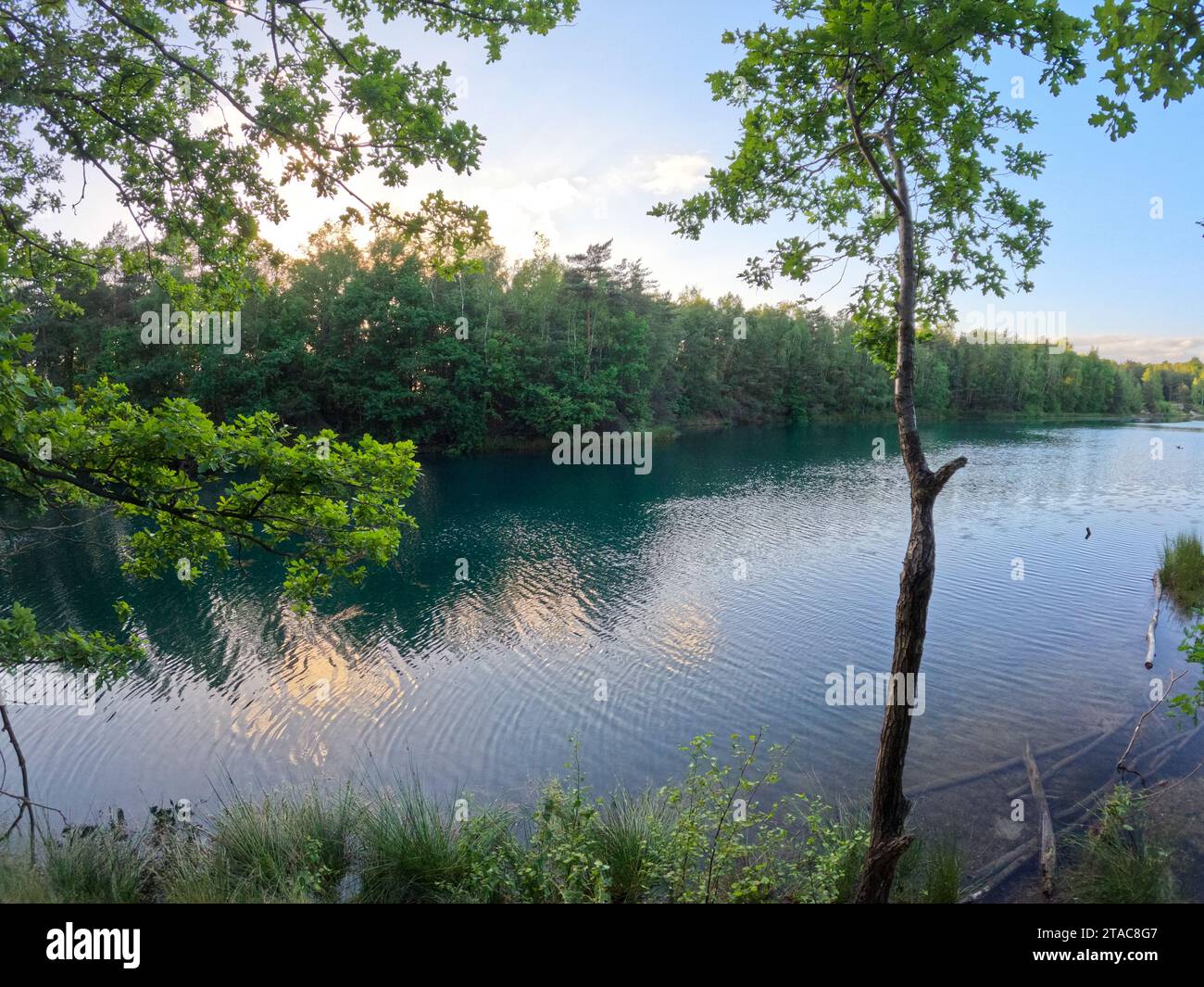 The image showcases a tranquil lakeside scene during the magical hours ...