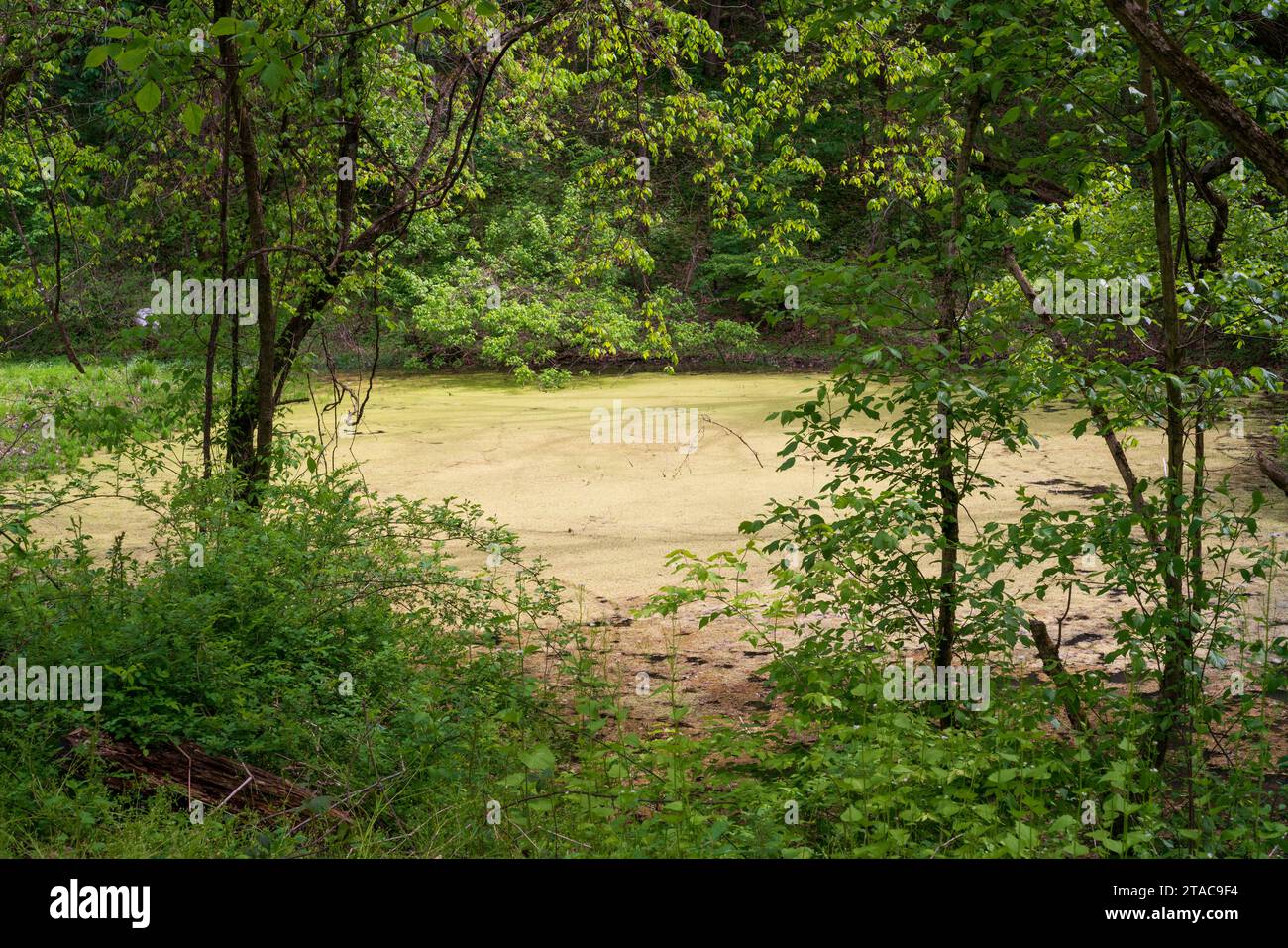 The Hockhocking Adena Bikeway in Athens Ohio Stock Photo - Alamy