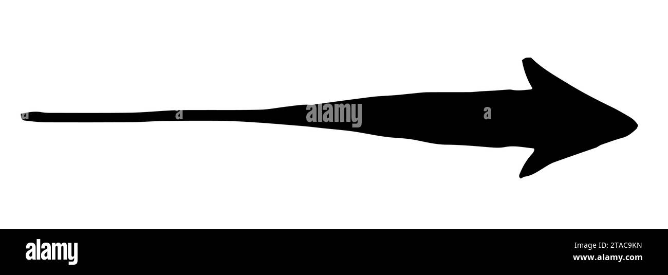 Hand painted arrow drawn with ink brush isolated on white background ...