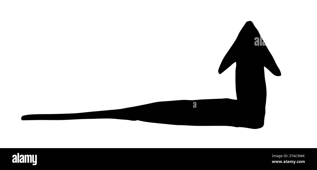 Hand painted arrow drawn with ink brush isolated on white background ...