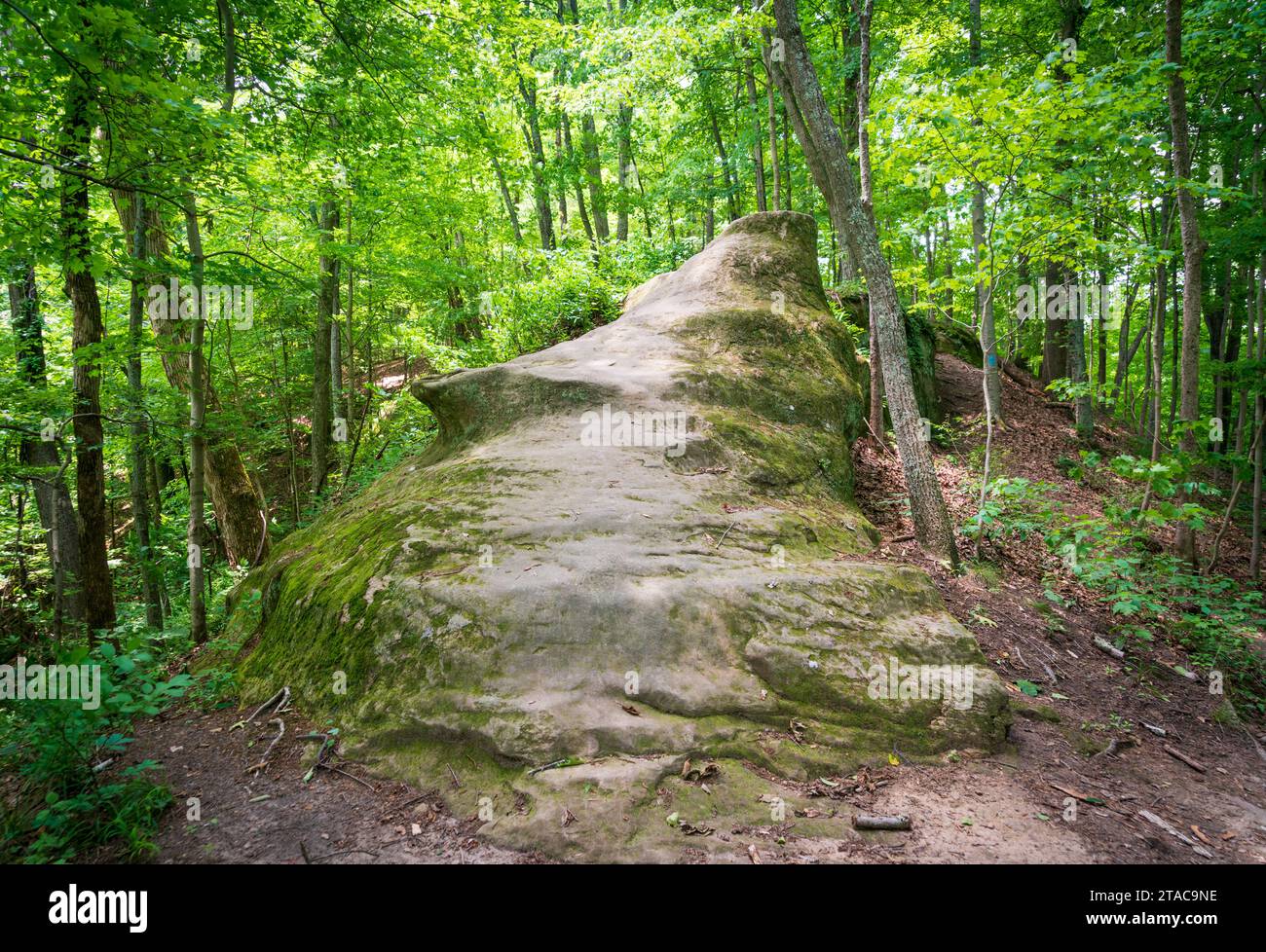 Experience peaceful walk through area hi-res stock photography and ...