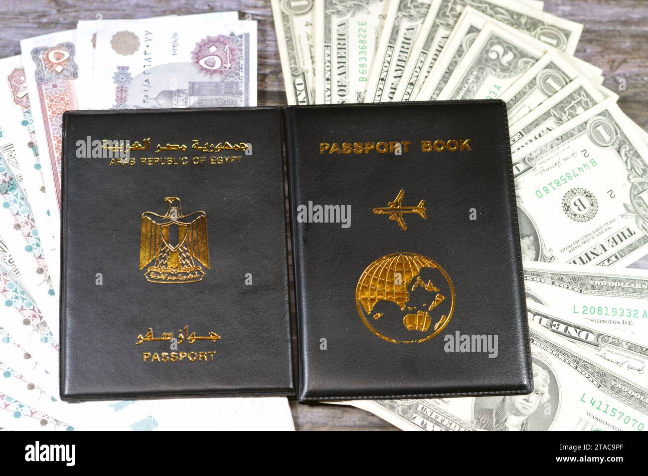 Egyptian passport black book, Translation of Arabic words (Arab ...