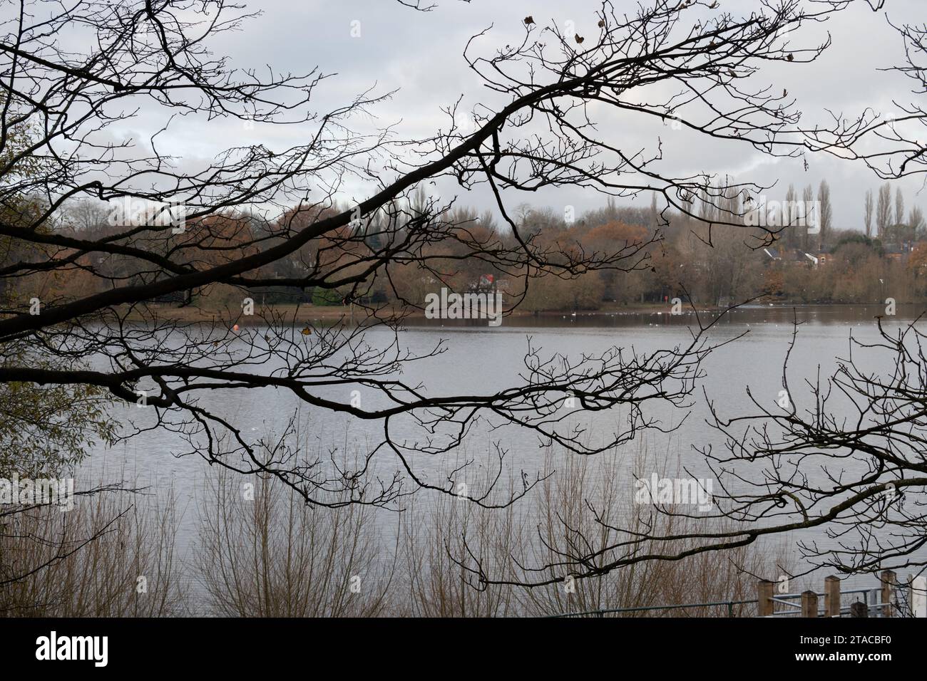 Edgbaston Reservoir, Birmingham, West Midlands, England, UK Stock Photo ...