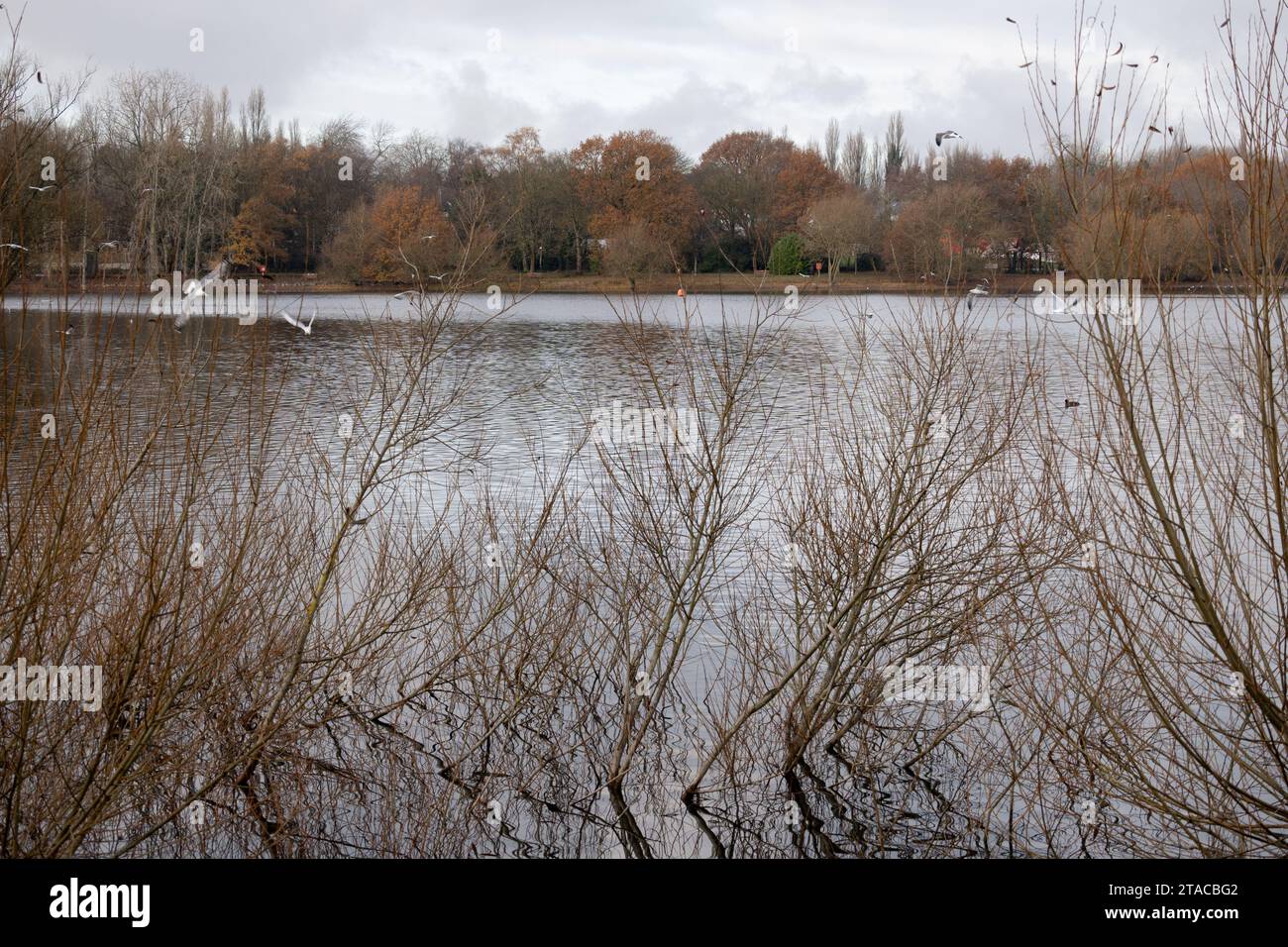 Edgbaston Reservoir, Birmingham, West Midlands, England, UK Stock Photo ...