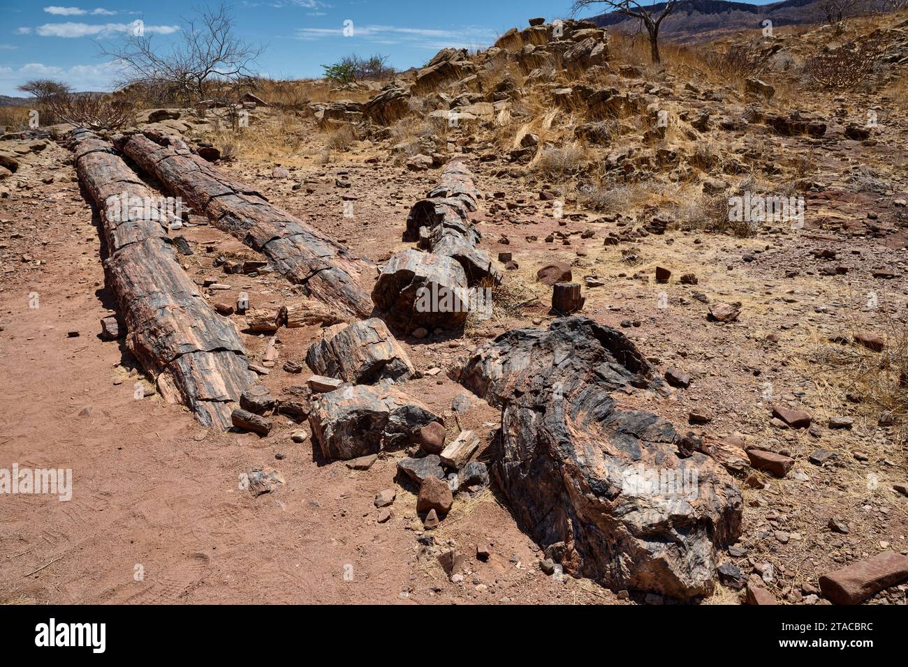 Three Stages Petrified Forest, Petrified Forest, Damaraland, Namibia ...