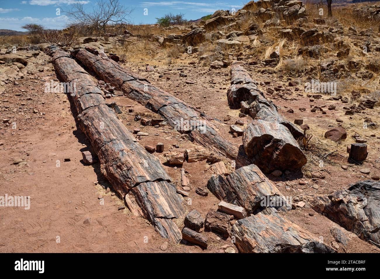 Three Stages Petrified Forest, Petrified Forest, Damaraland, Namibia ...