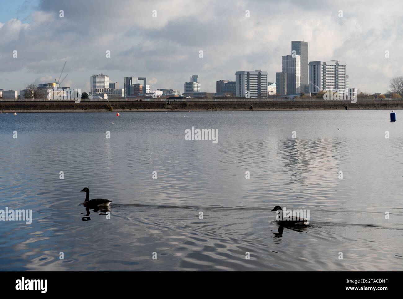 Birmingham city centre seen from Edgbaston Reservoir, West Midlands ...