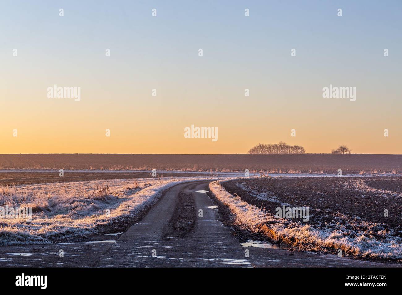 Farm road on a winter morning in a landscape frozen by frost Stock ...