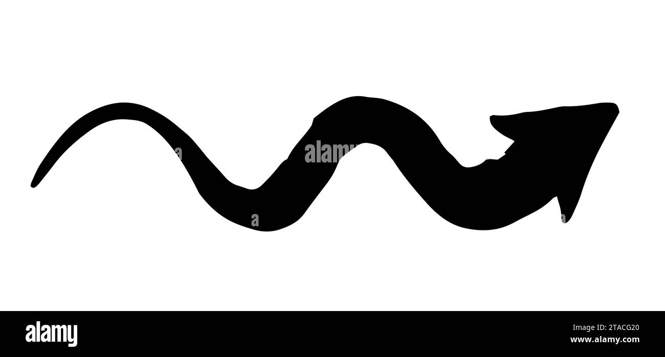 Ink arrow curled symbol hand painted with brush in swoosh whimsical ...