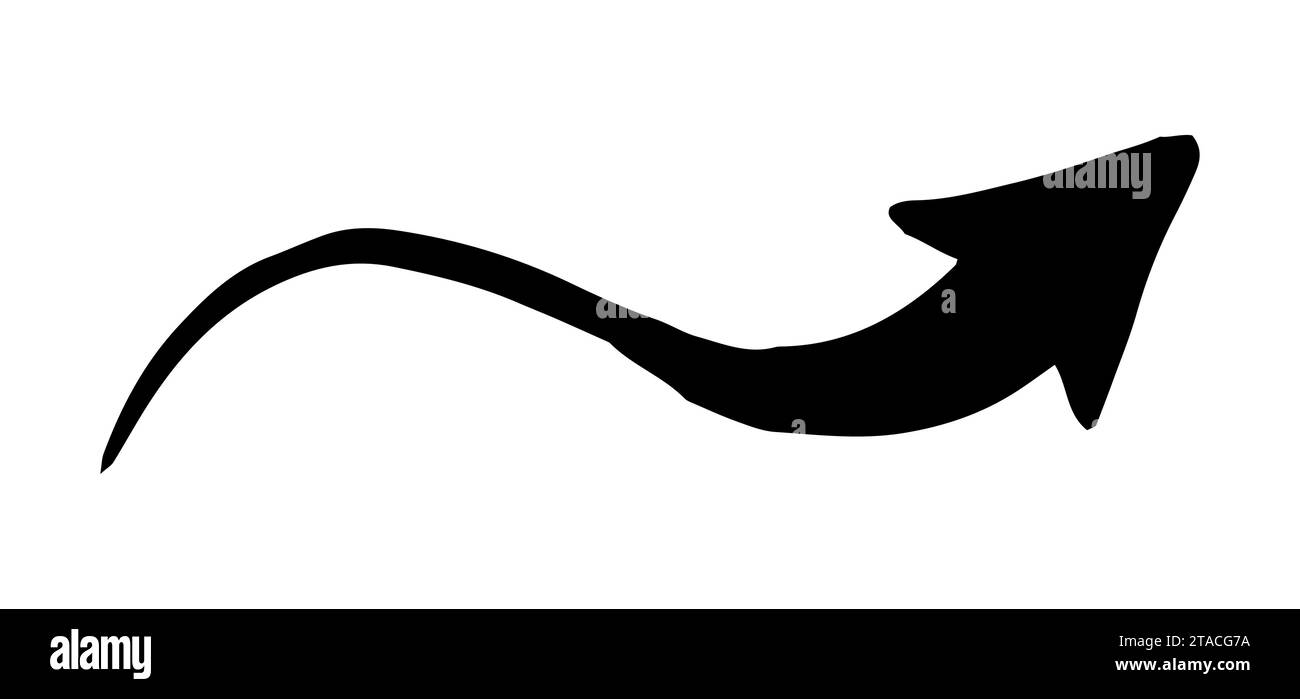 Ink arrow curled symbol hand painted with brush in swoosh whimsical ...