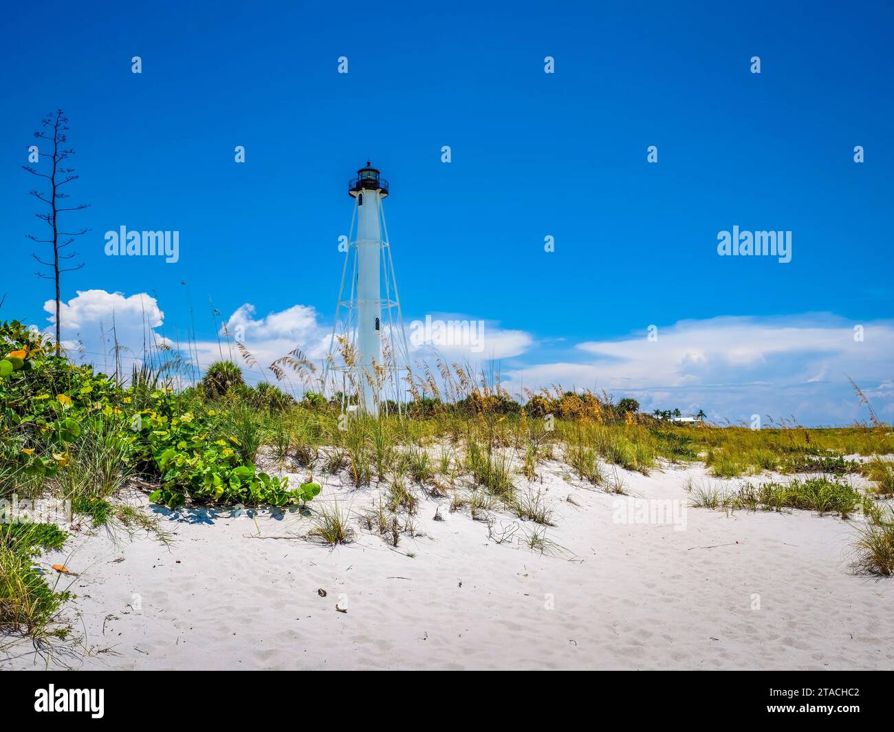 Gasparilla island hi-res stock photography and images - Alamy