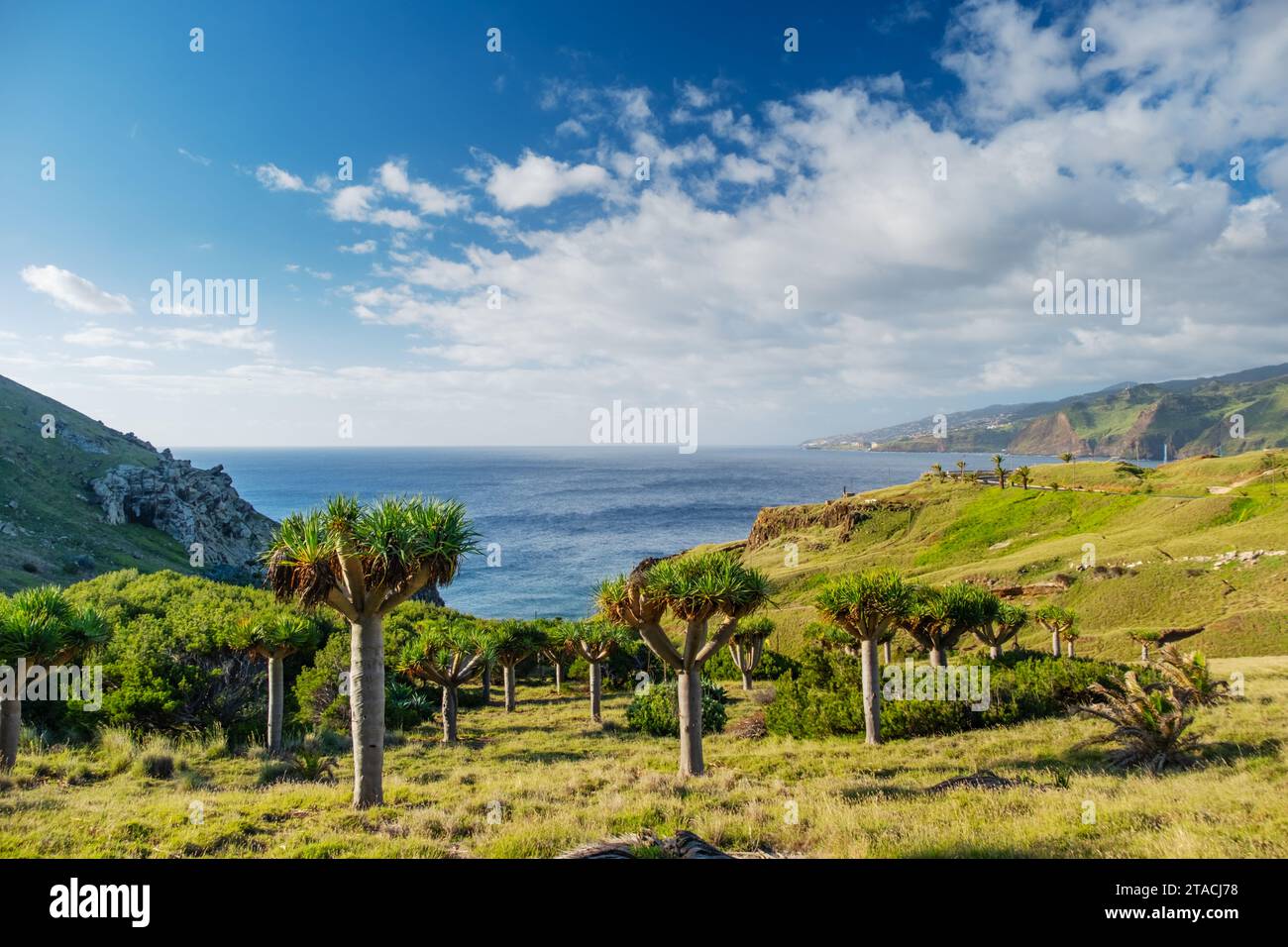 Ponta do drago hi-res stock photography and images - Alamy