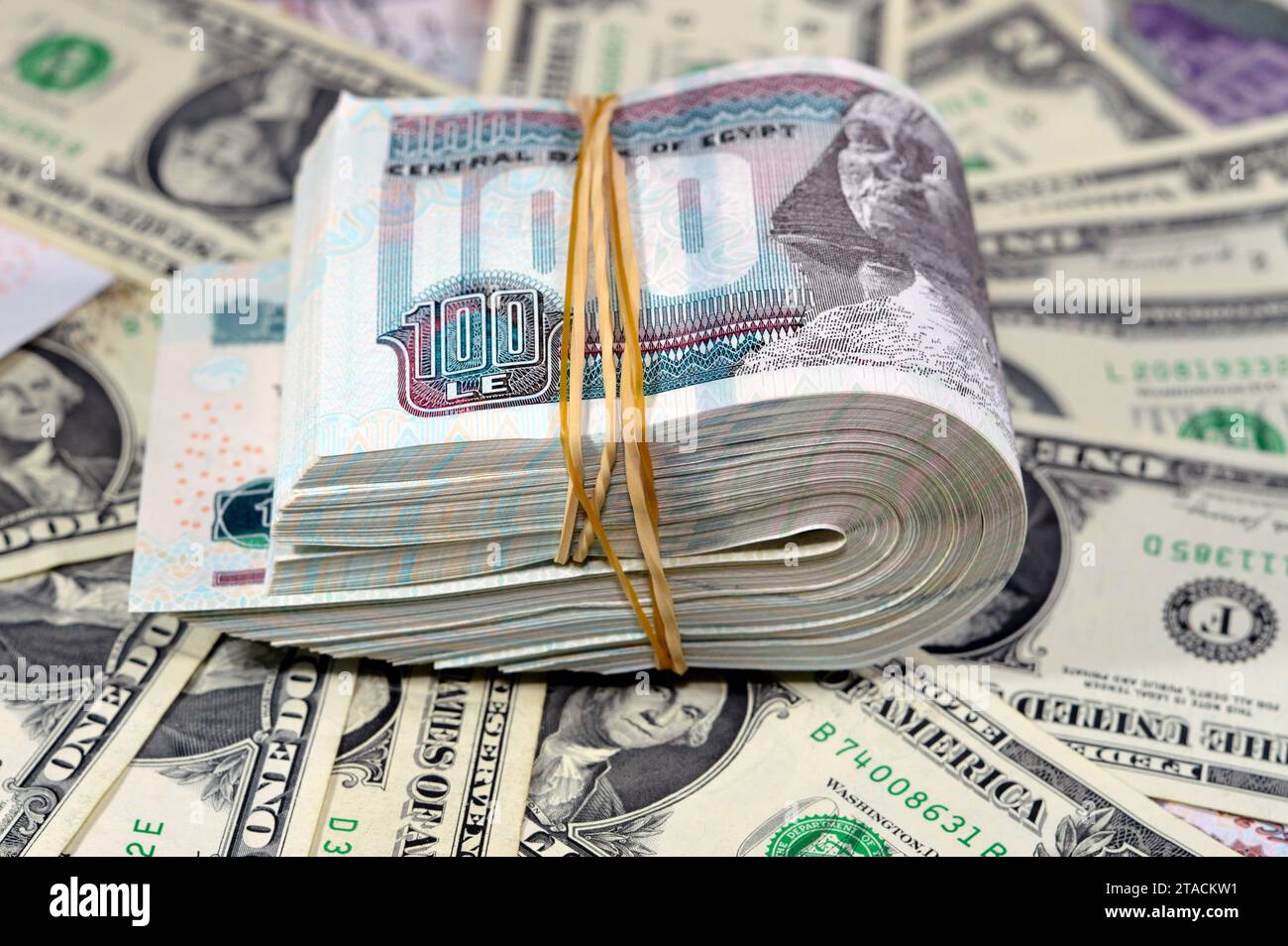 stack of Egypt money banknote bills of 100 EGP LE one hundred Egyptian ...