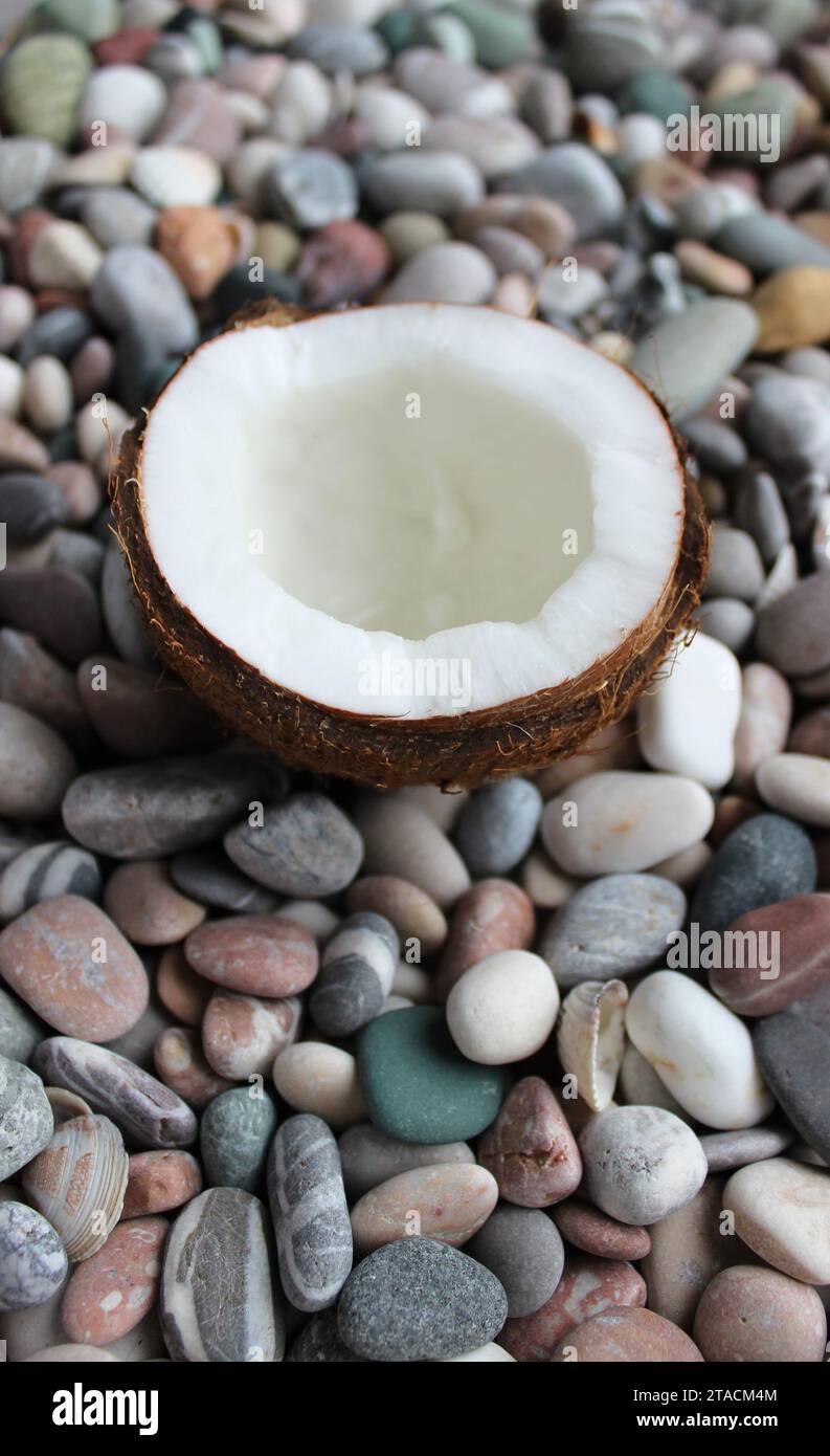 Vertical Photo Of Coconut Chopped In Half Over Textured Sea Rocks Stock ...