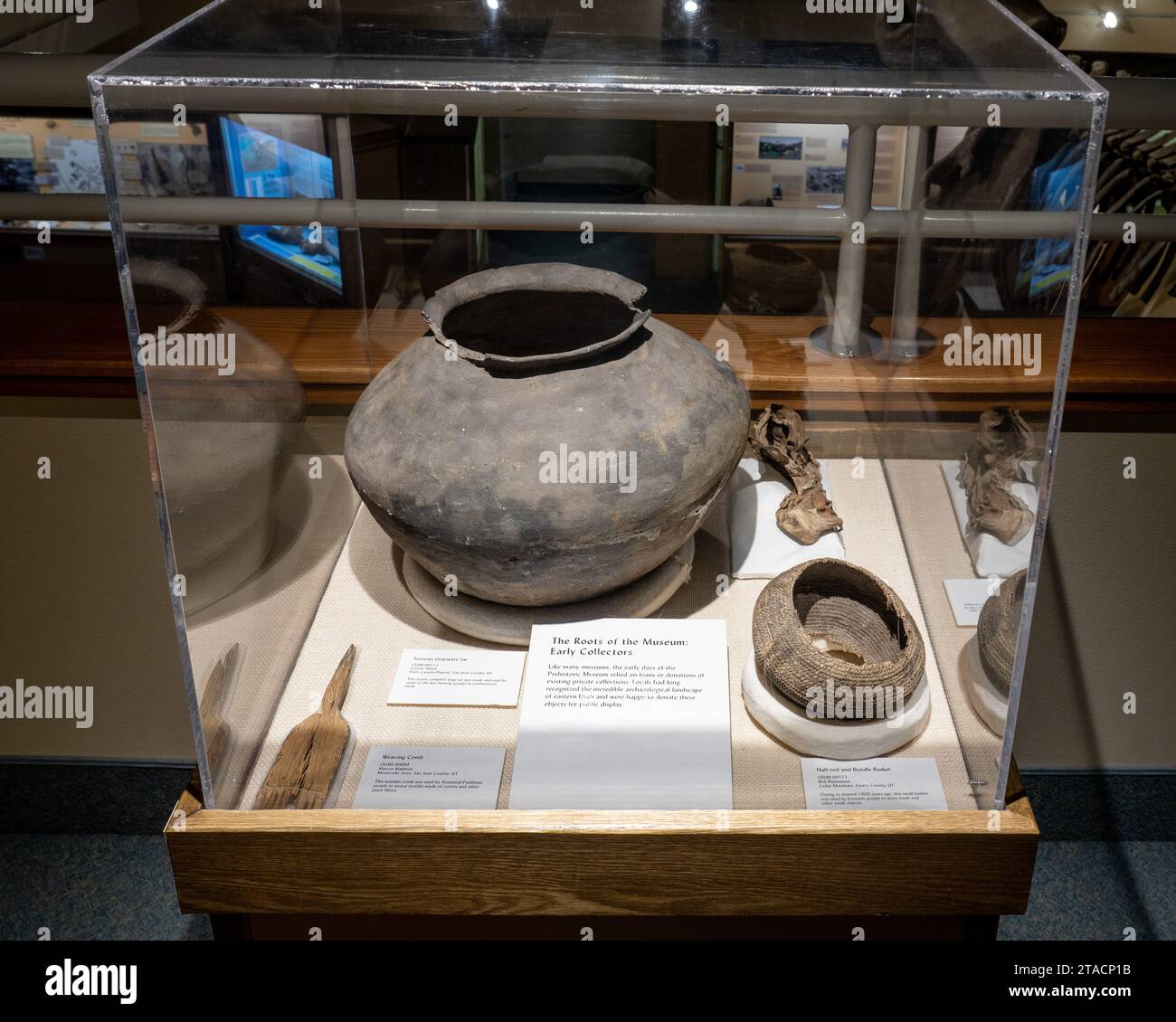 Pre-Hispanic Native American artifacts in the USU Eastern Prehistoric ...