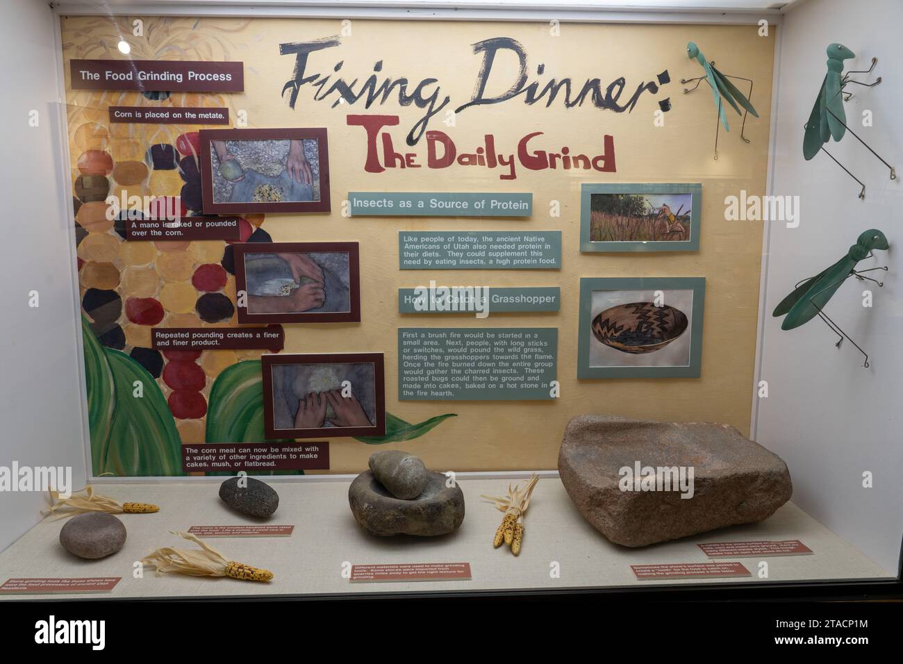 A display of food sources for pre-HIspanic Native Americans in the USU ...