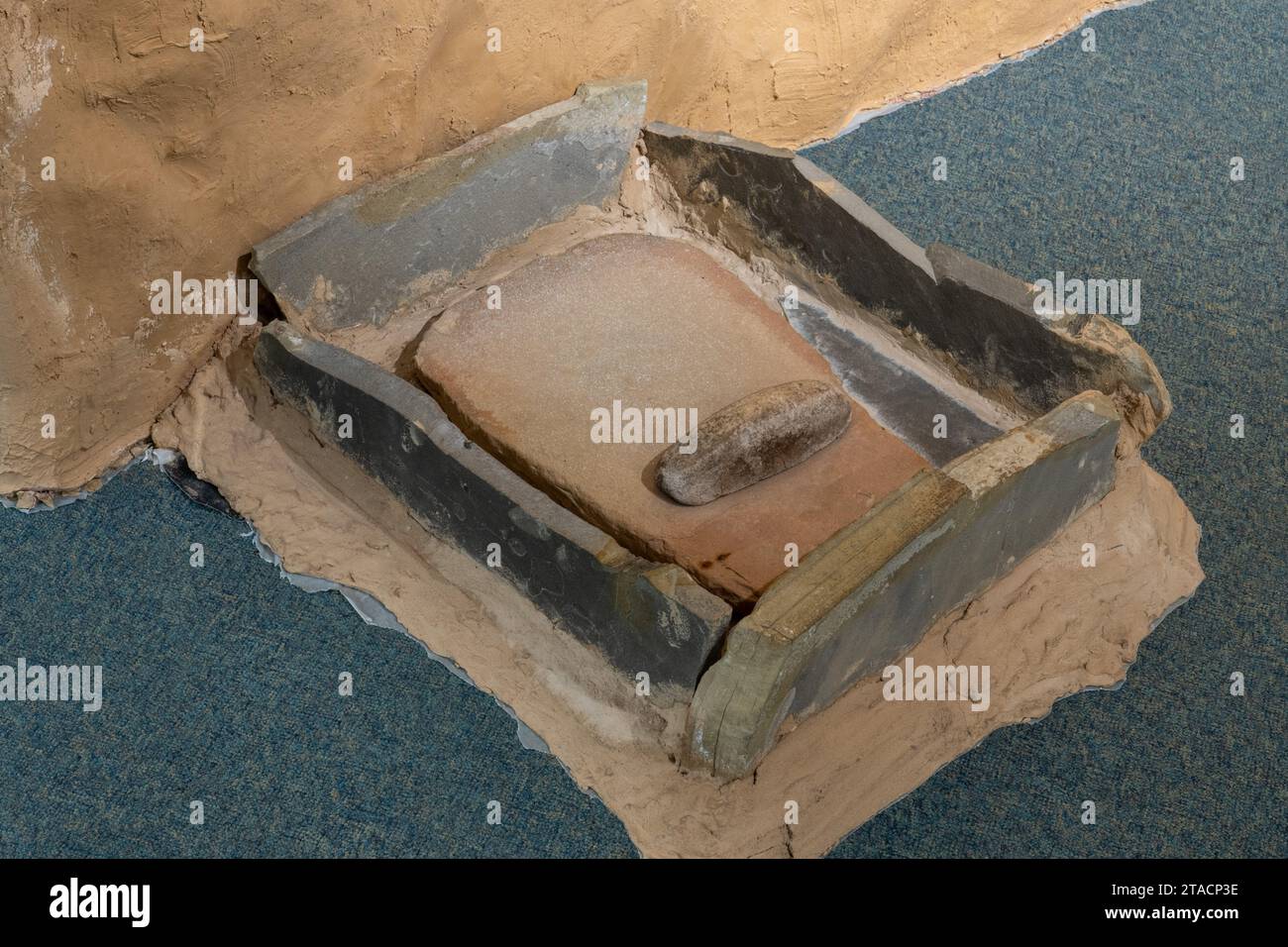 A pre-Hispanic Ancestral Puebloan metate & mano or grinding stones in ...