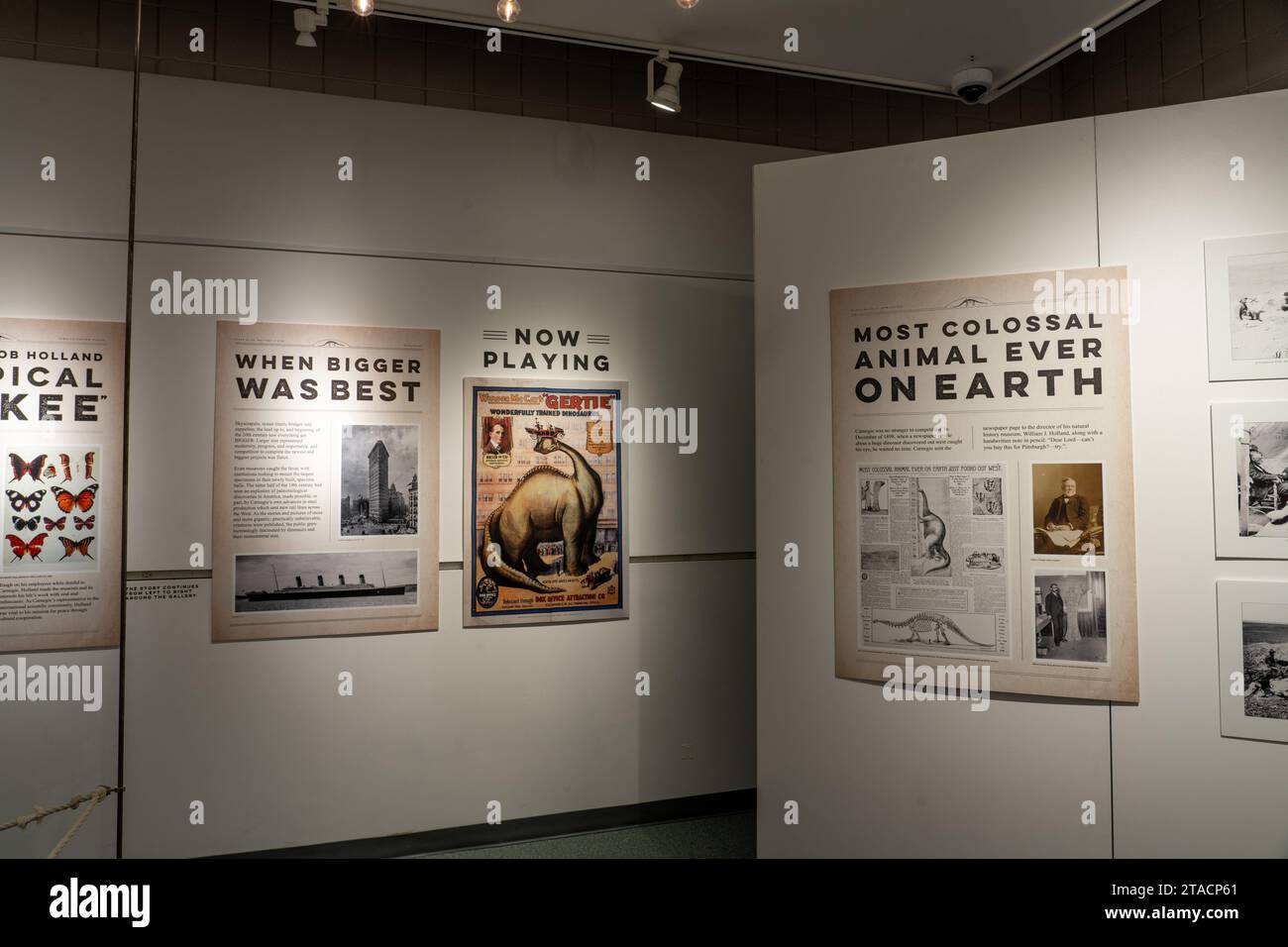 Publicity posters of a world tour of Dippy, a diplodocus skeleton, in ...