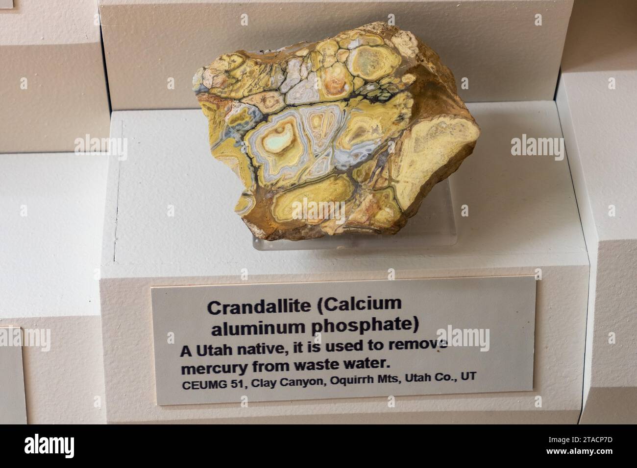 Crandallite, calcium aluminum phosphate, in the mineral collection in ...