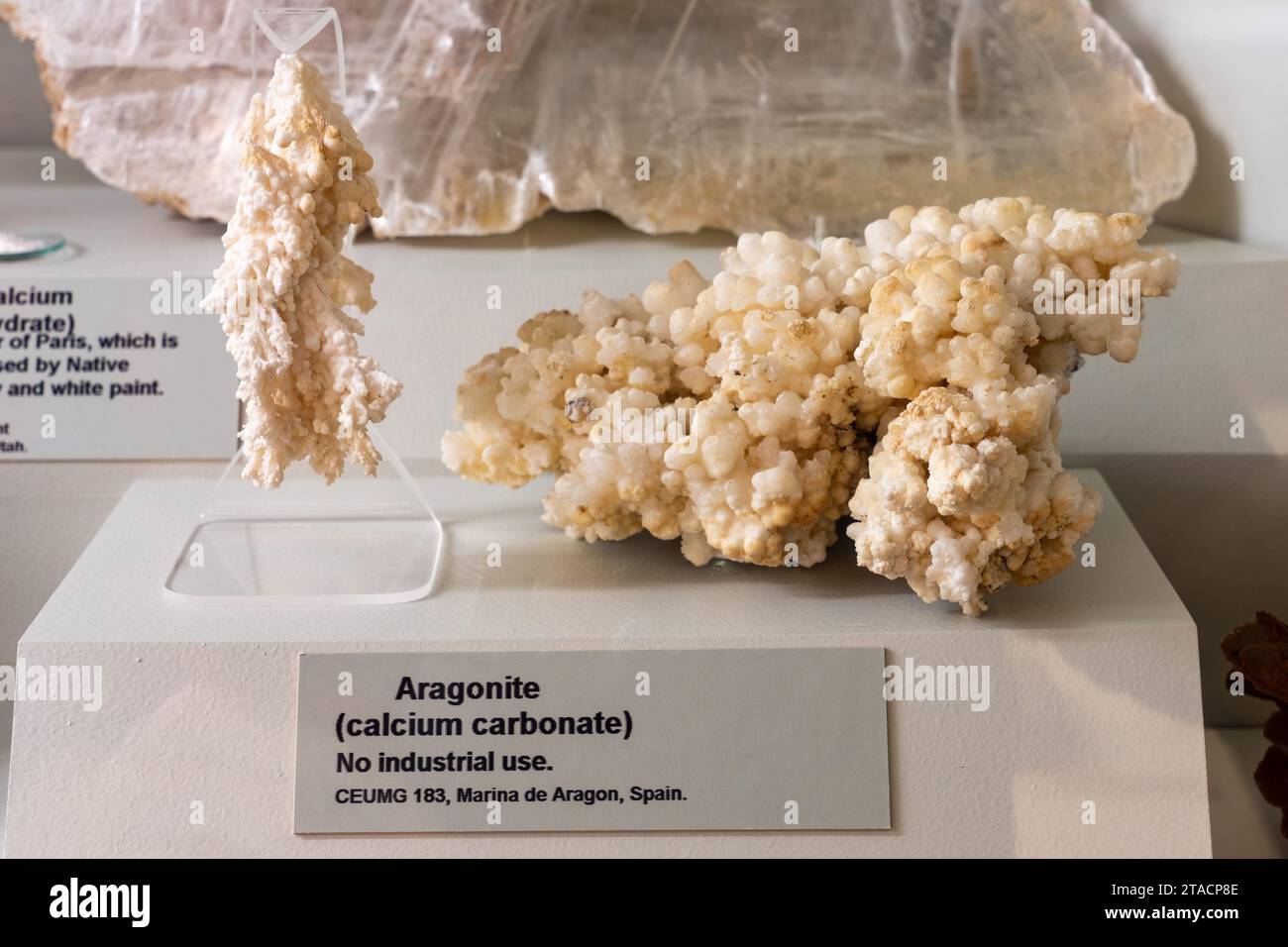 Aragonite, calcium carbonate, in the mineral collection in the USU ...