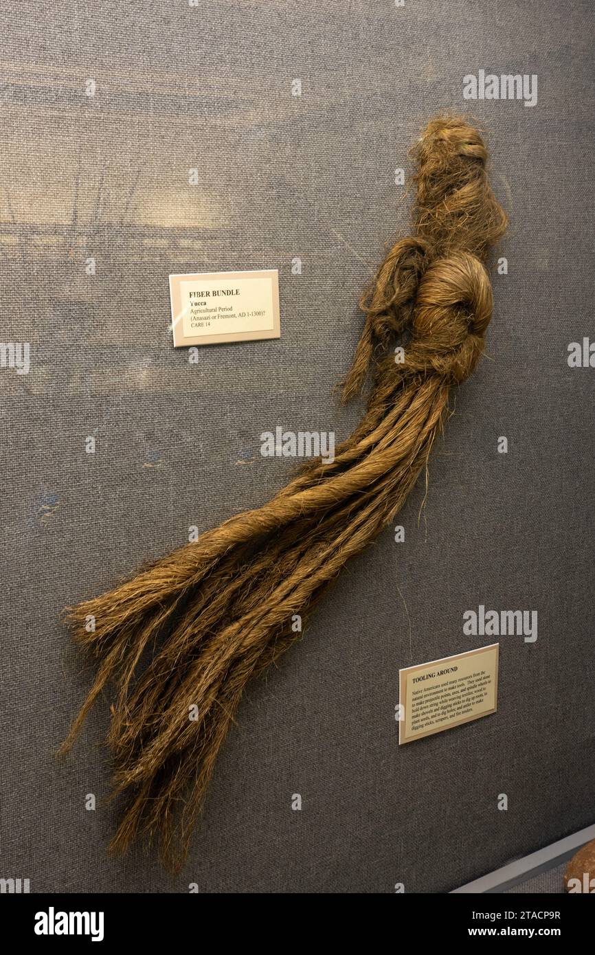 A yucca fiber bundle used by pre-Hispanic Native Americans in the USU ...