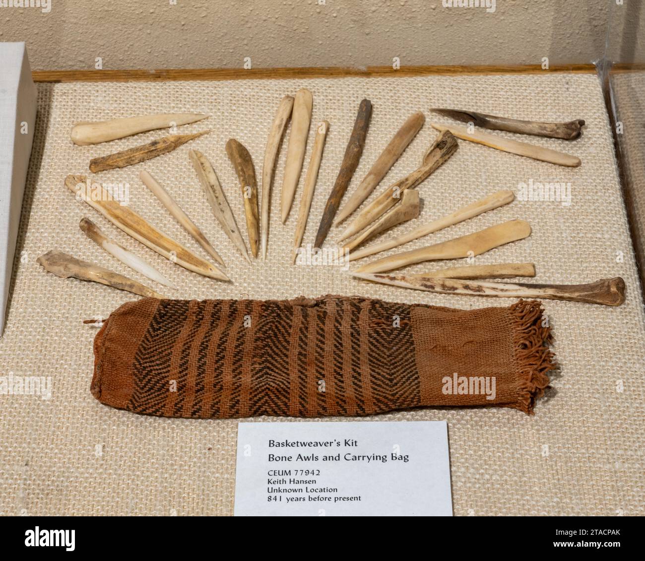An 800-year old Native American basketweaver's kit with bone awls in ...