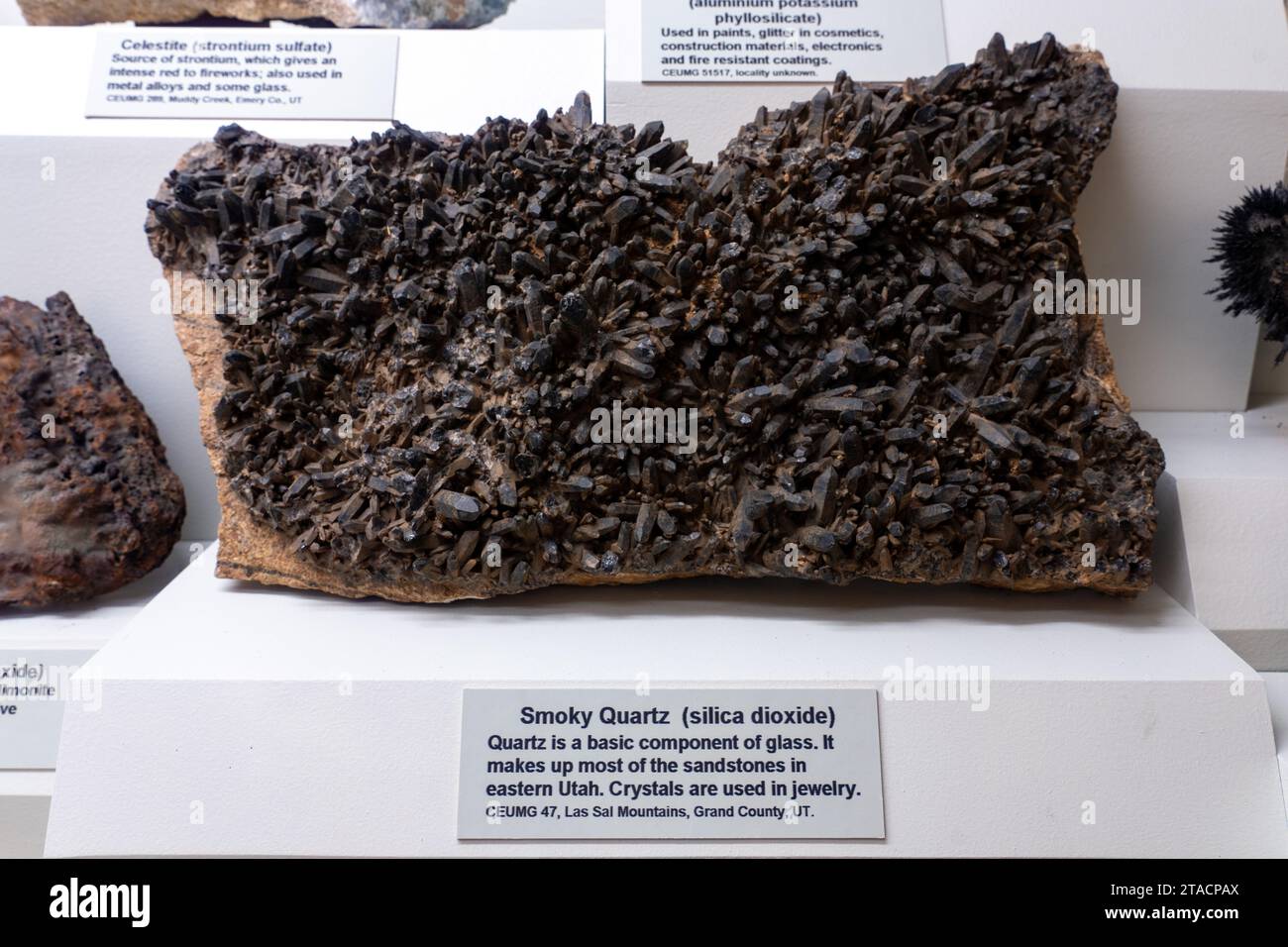 Smoky Quartz crystals, silica dioxide, in the mineral collection in the ...