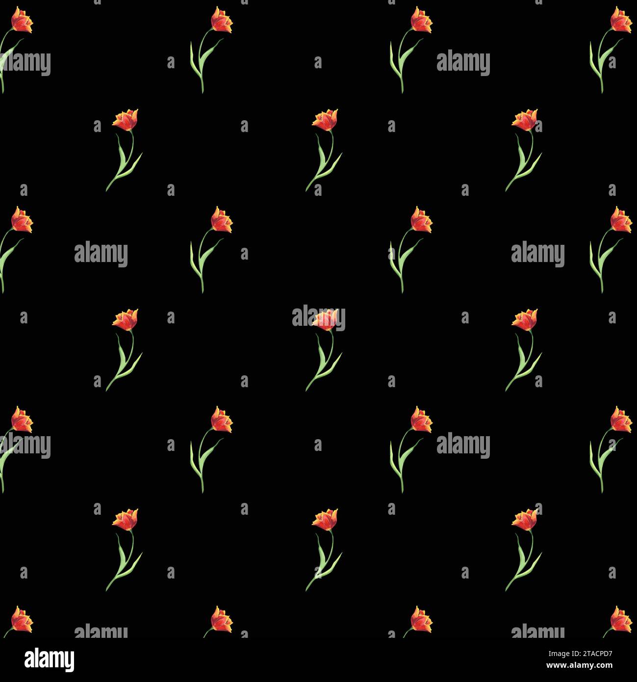 Watercolor red tulips seamless pattern. Hand drawn illustration with ...