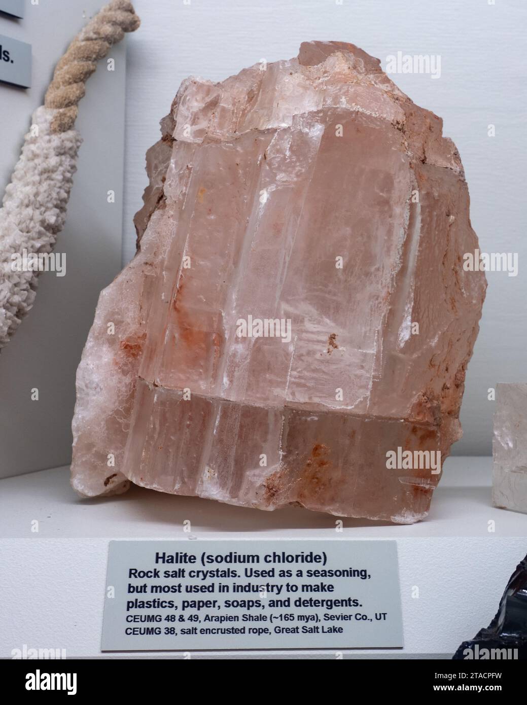 Halite, sodium chloride, in the mineral collection in the USU Eastern ...