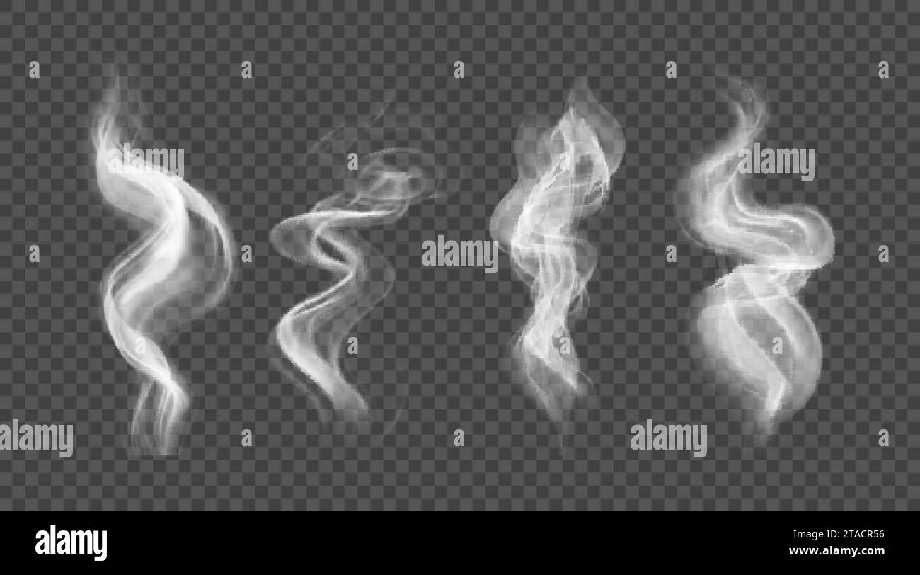 White wavy smoke isolated on transparent background Stock Vector Image ...