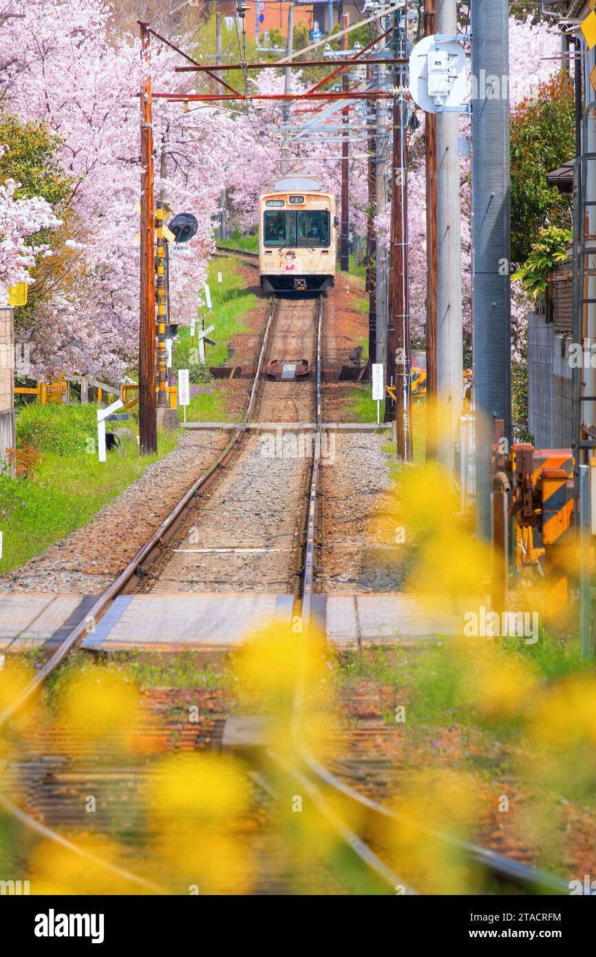 Kyoto, Japan - March 31 2023: Keifuku Tram is operated by Keifuku ...