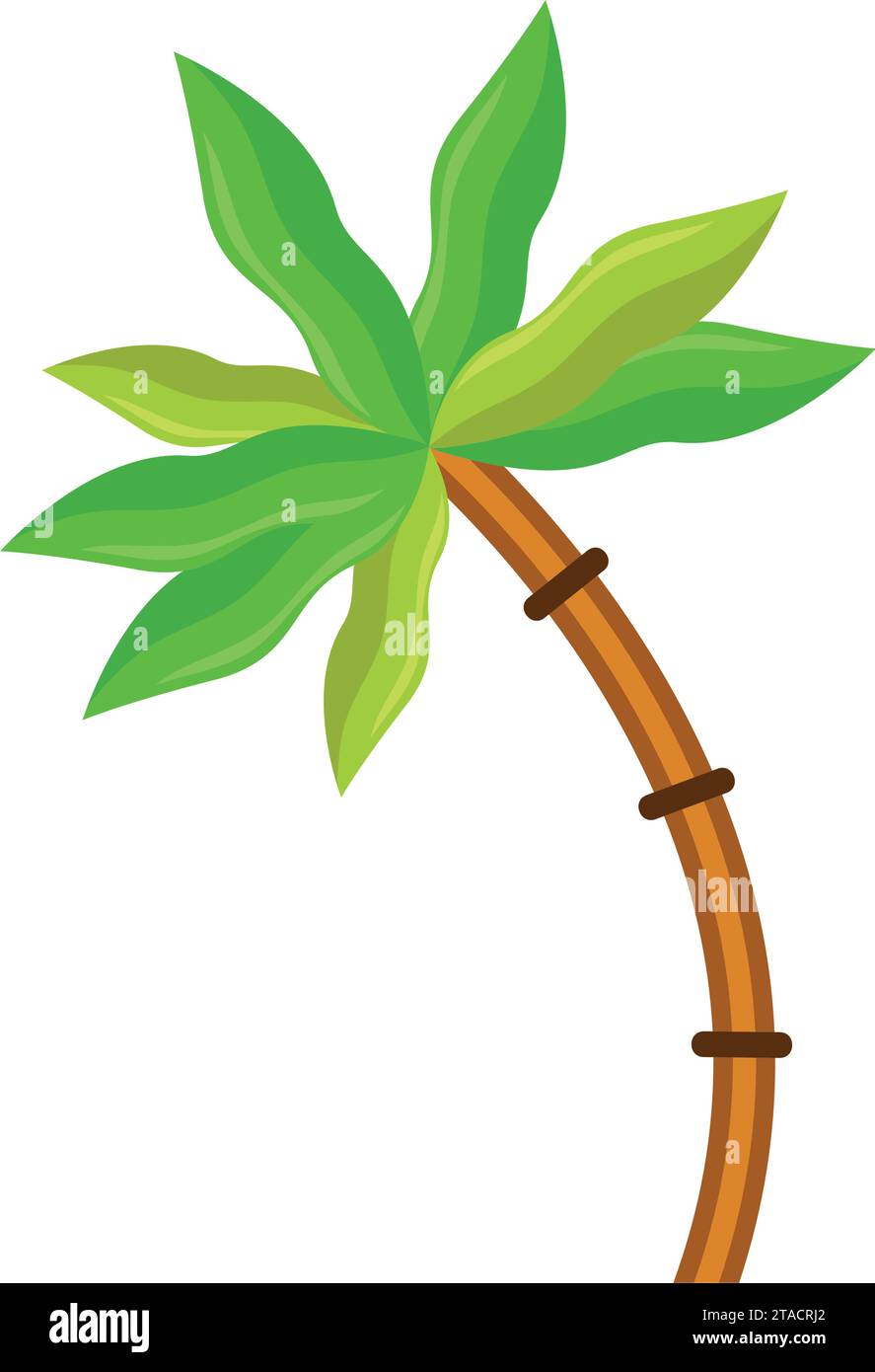 nature coconut palm vector isolated Stock Vector Image & Art - Alamy