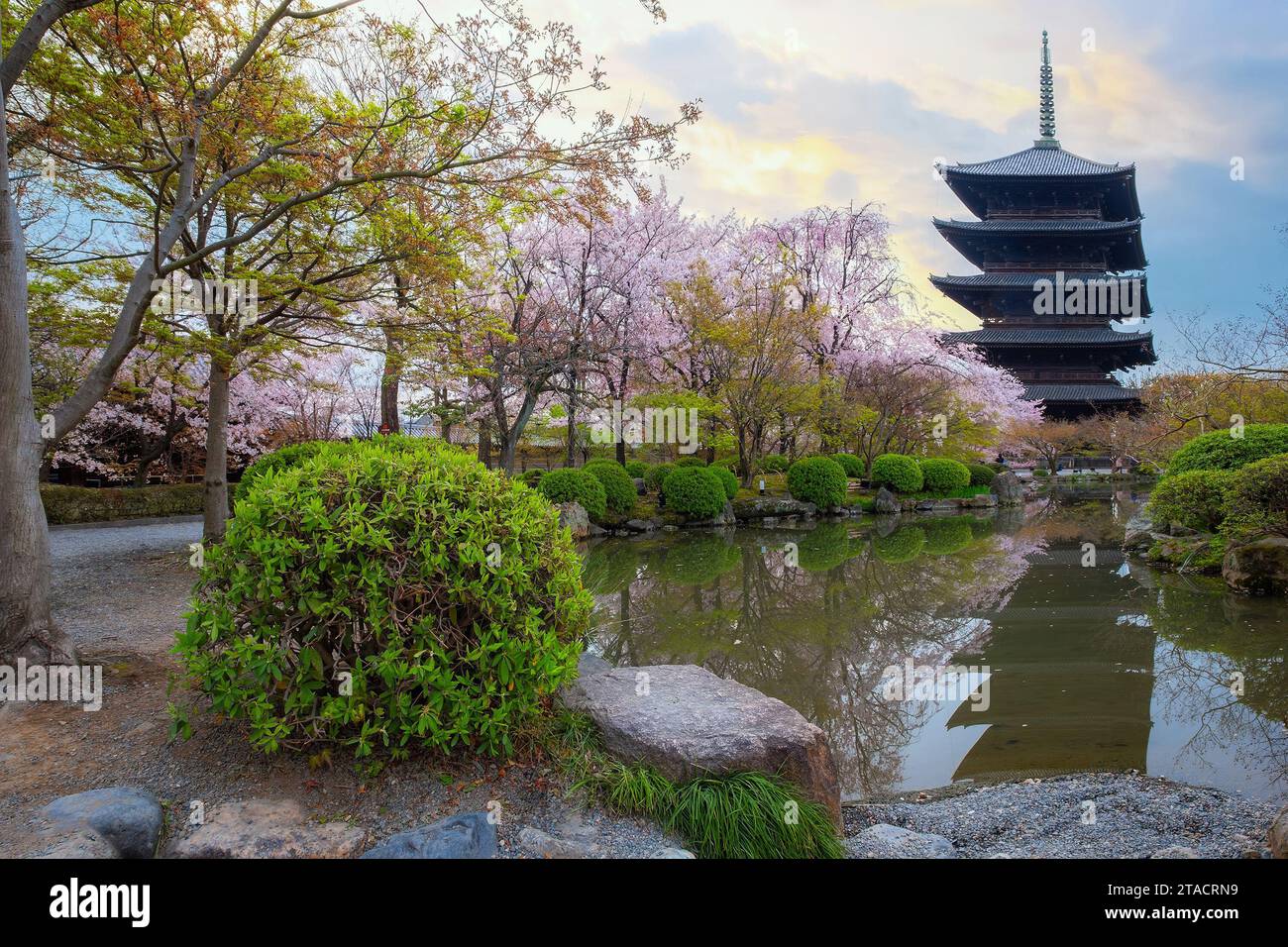 Toji temple kyoto gate hi-res stock photography and images - Alamy
